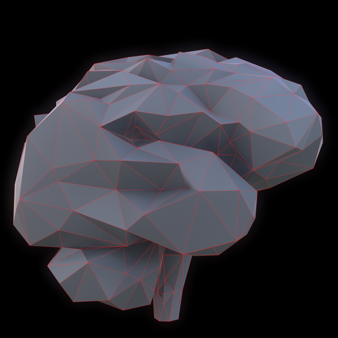Brain low-poly 3D model - TurboSquid 1523488