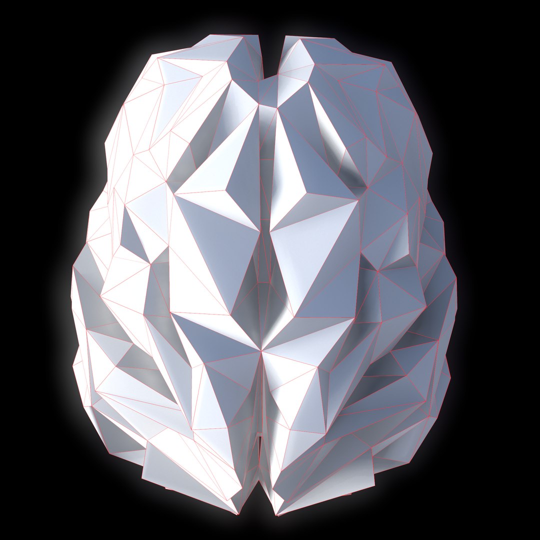 Brain Low-poly 3D Model - TurboSquid 1523488