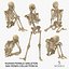 Human Female Skeleton Sad Poses Collection 01 - 5 Models Model ...