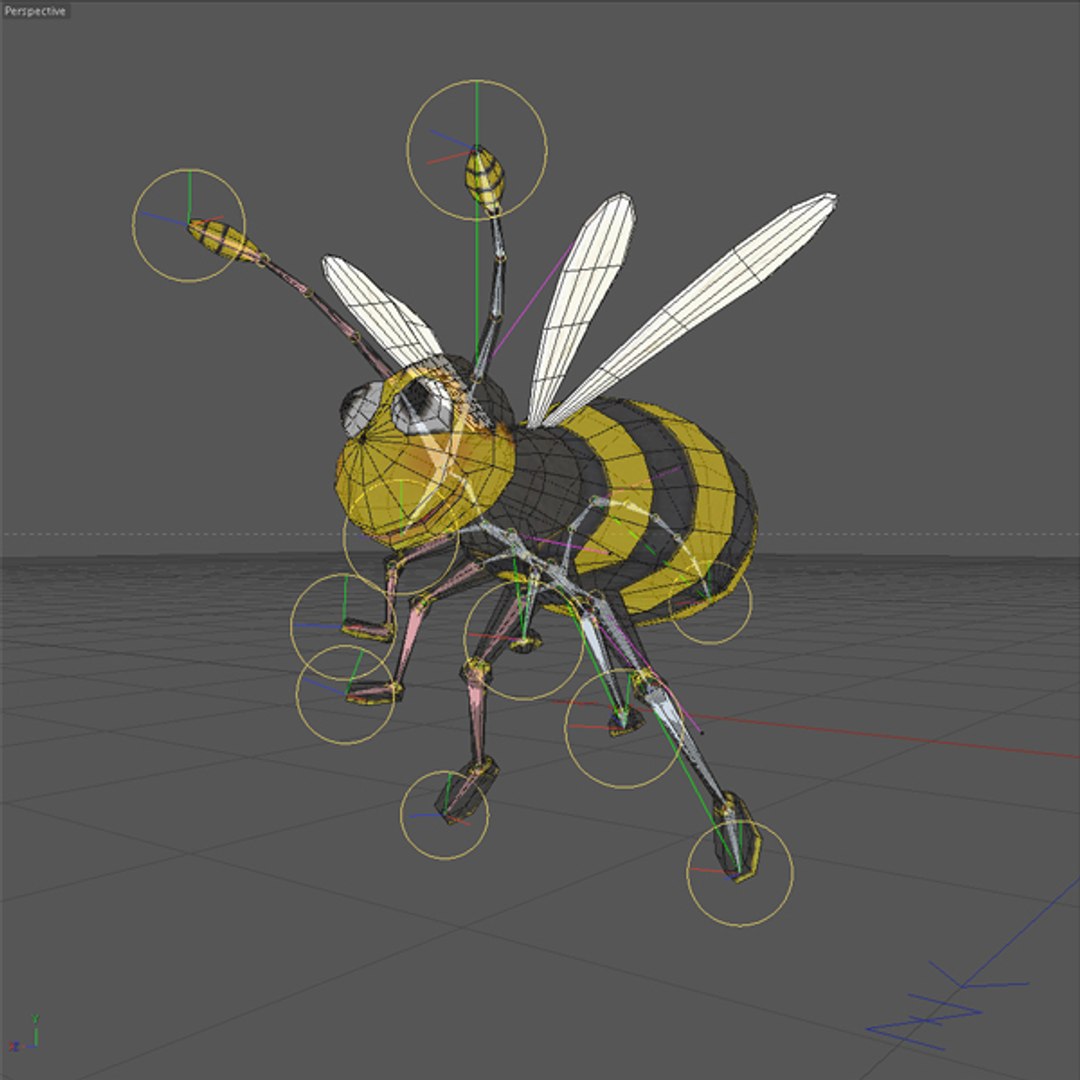 3d Bee Rigged Model