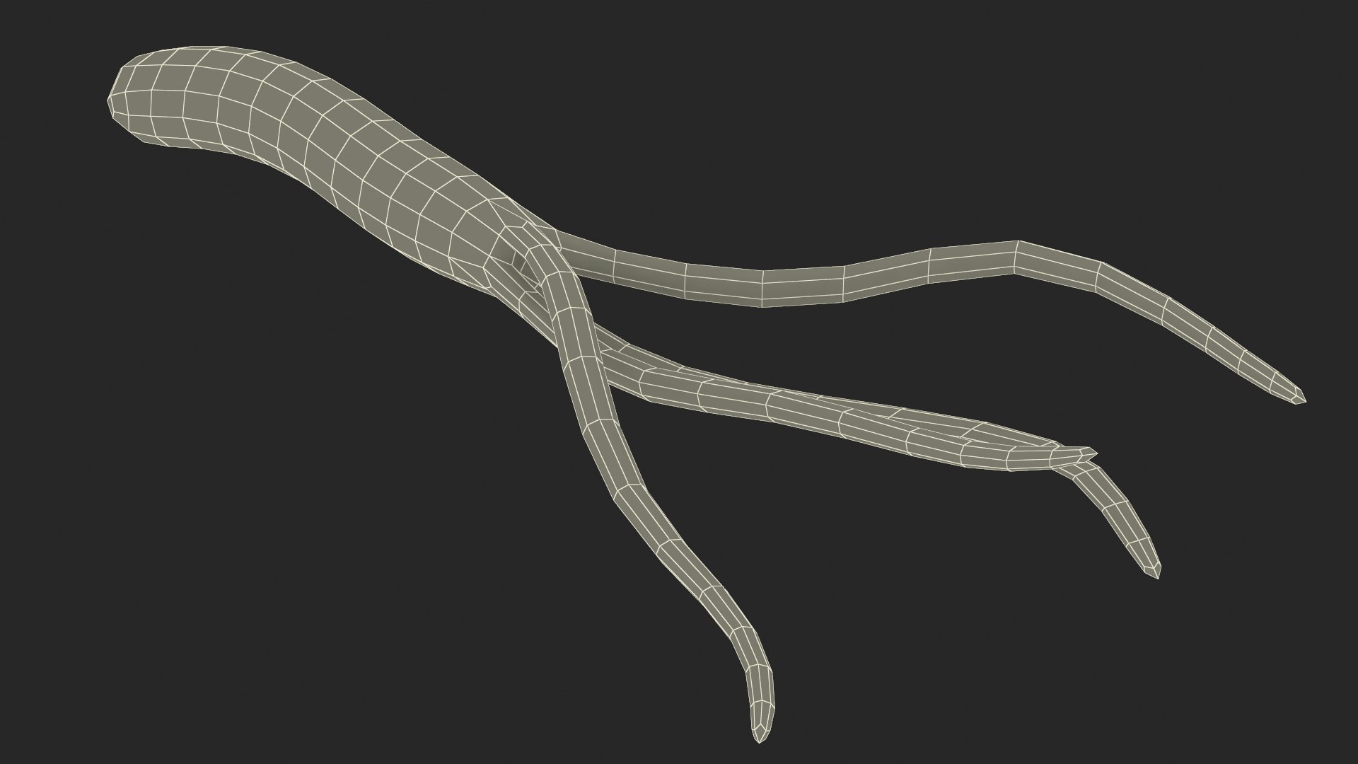 3D Helicobacter Pylori Bacteria - TurboSquid 2136655