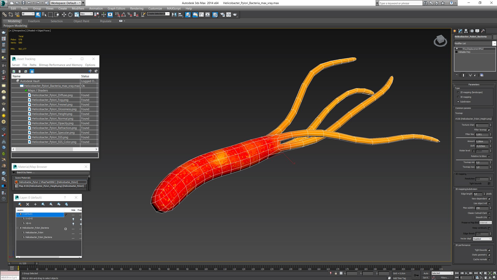 3D Helicobacter Pylori Bacteria - TurboSquid 2136655