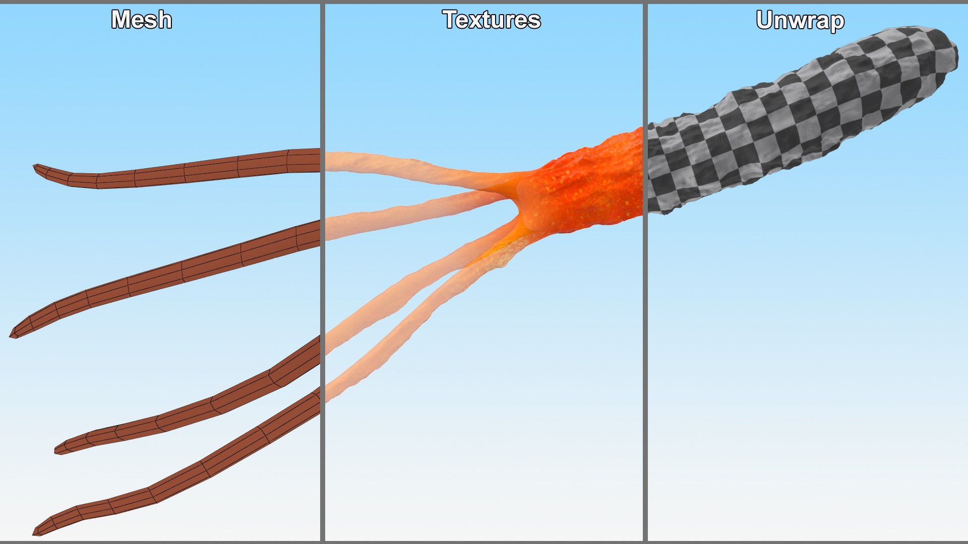 3D Helicobacter Pylori Bacteria - TurboSquid 2136655