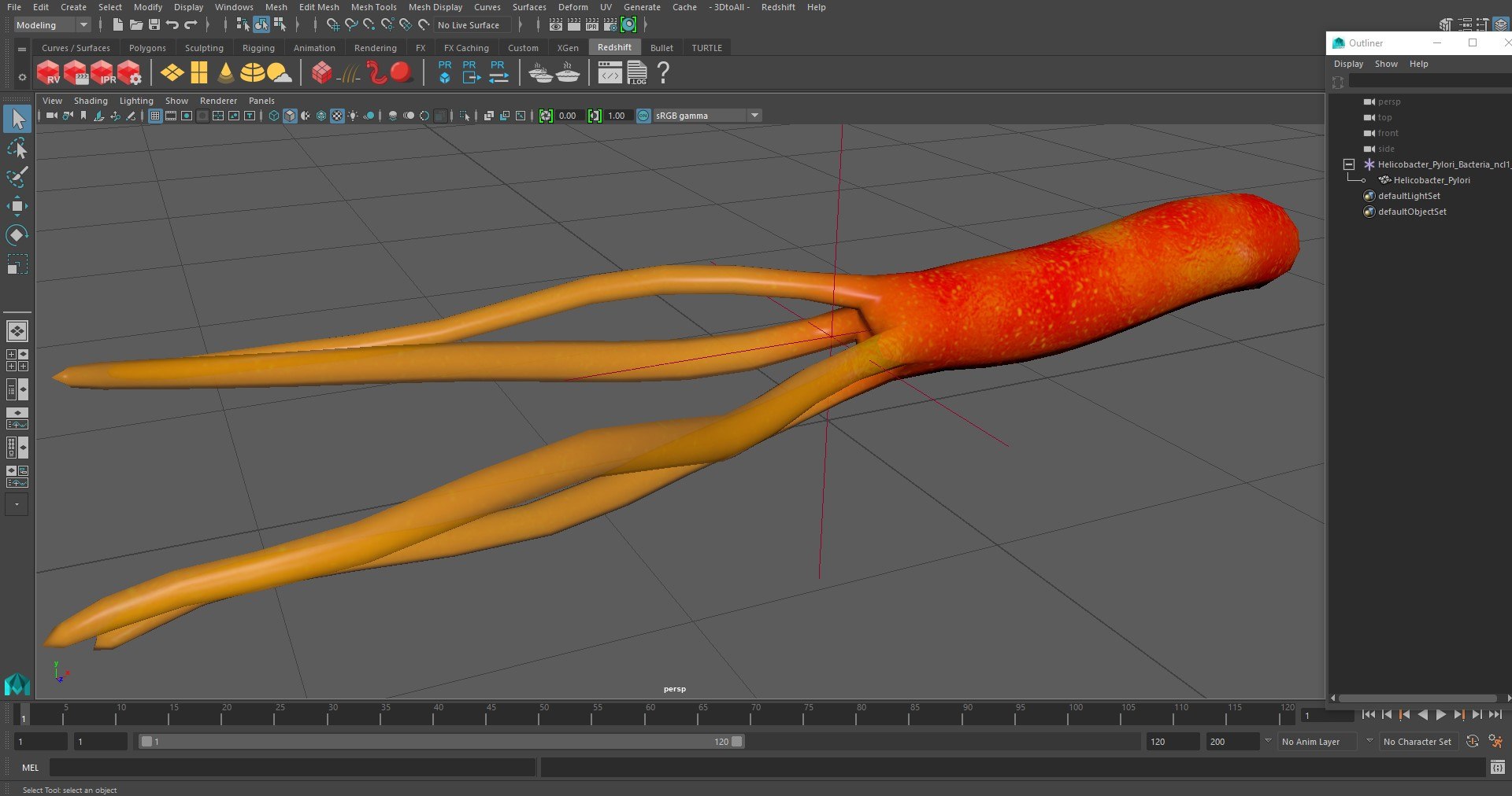 3D Helicobacter Pylori Bacteria - TurboSquid 2136655