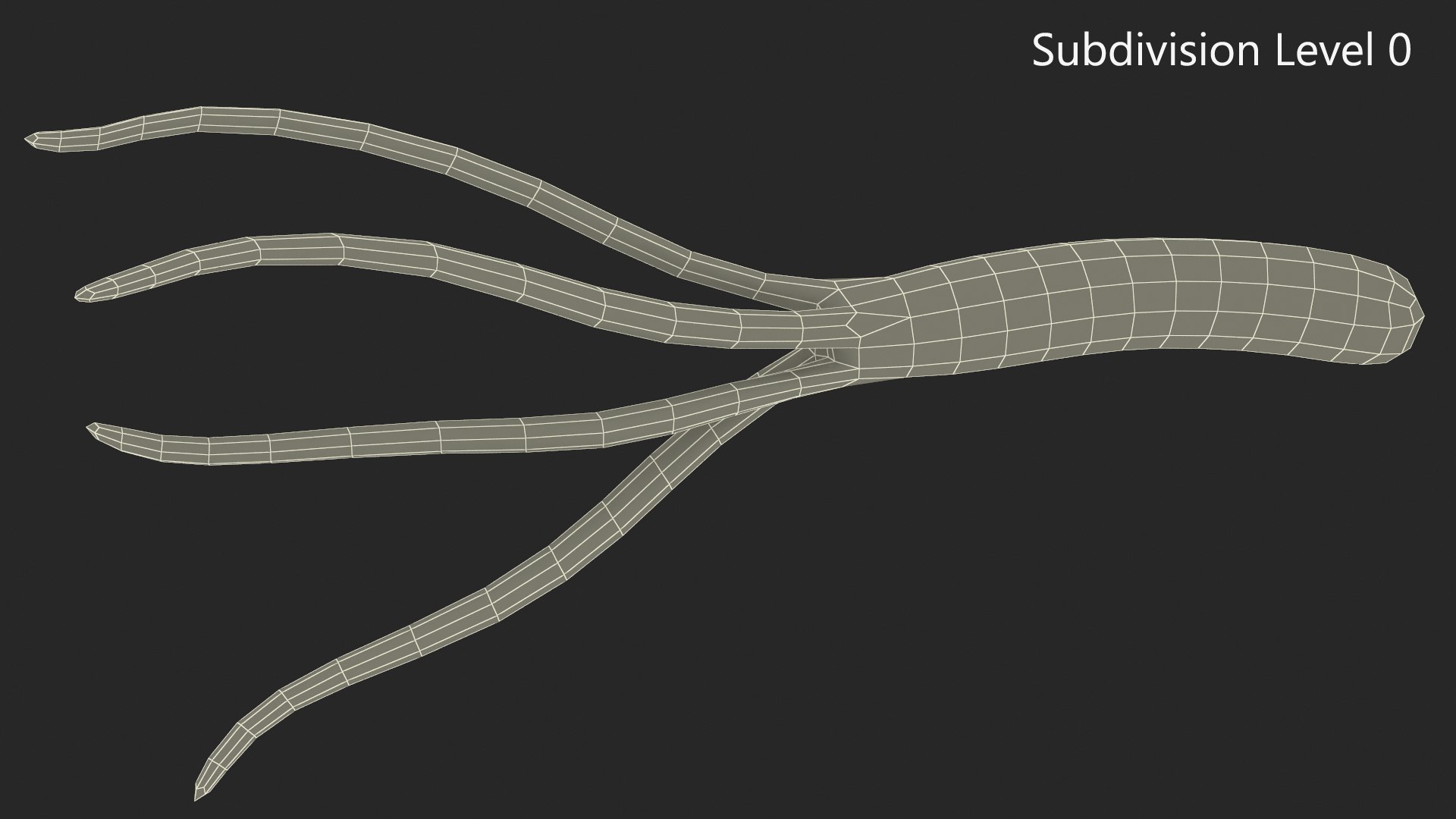 3D Helicobacter Pylori Bacteria - TurboSquid 2136655