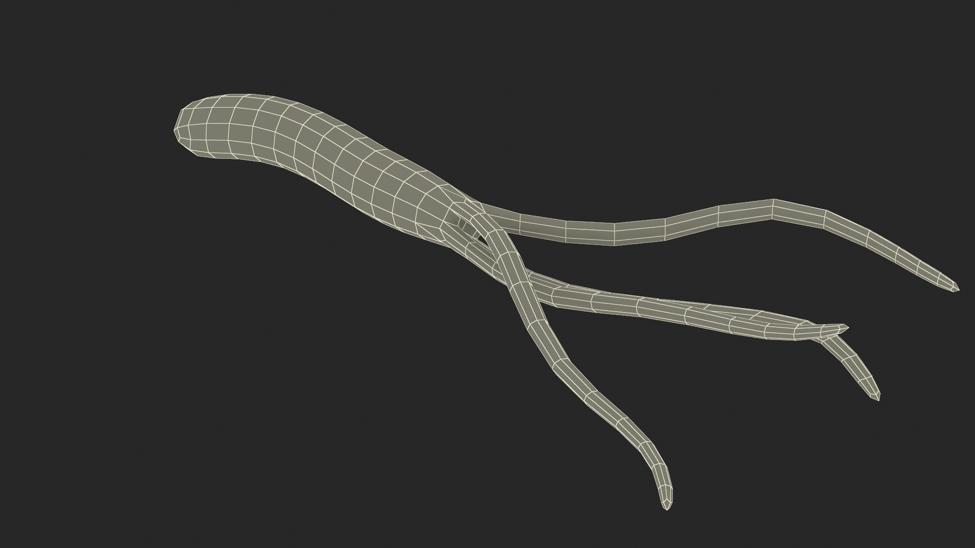 3D Helicobacter Pylori Bacteria - TurboSquid 2136655