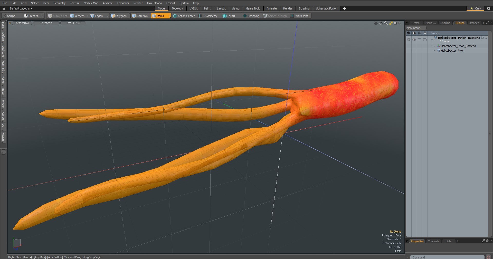 3D Helicobacter Pylori Bacteria - TurboSquid 2136655