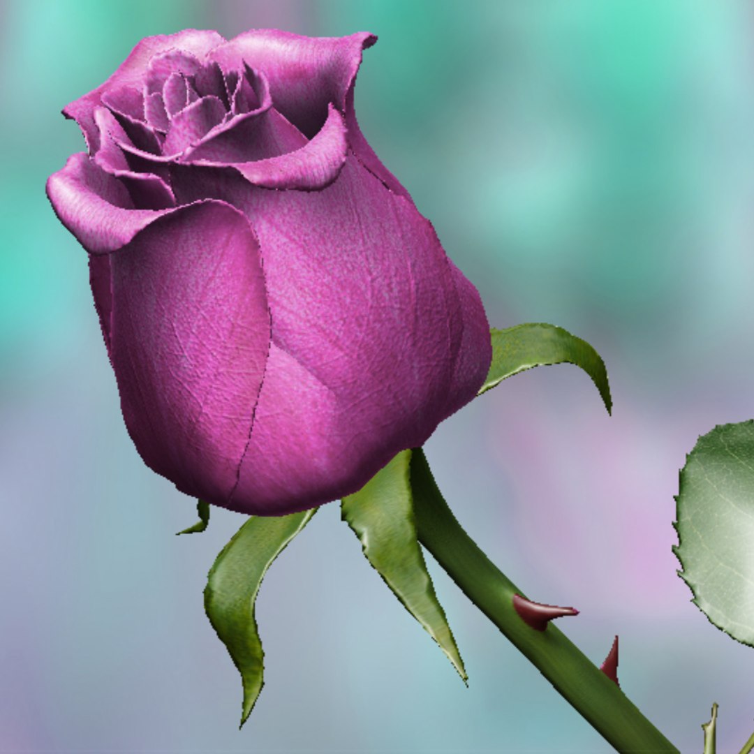 Pink Rose 3d Model