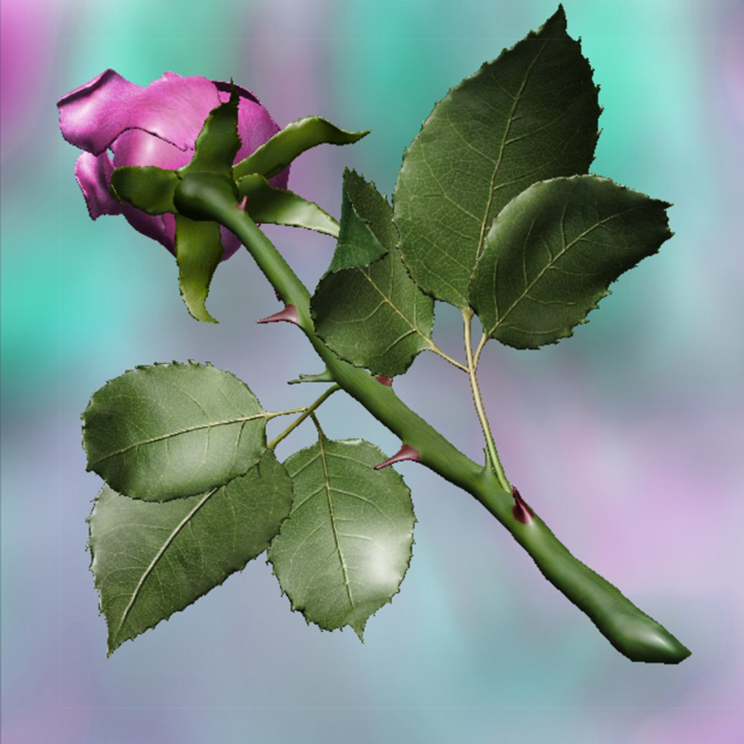 Pink Rose 3d Model