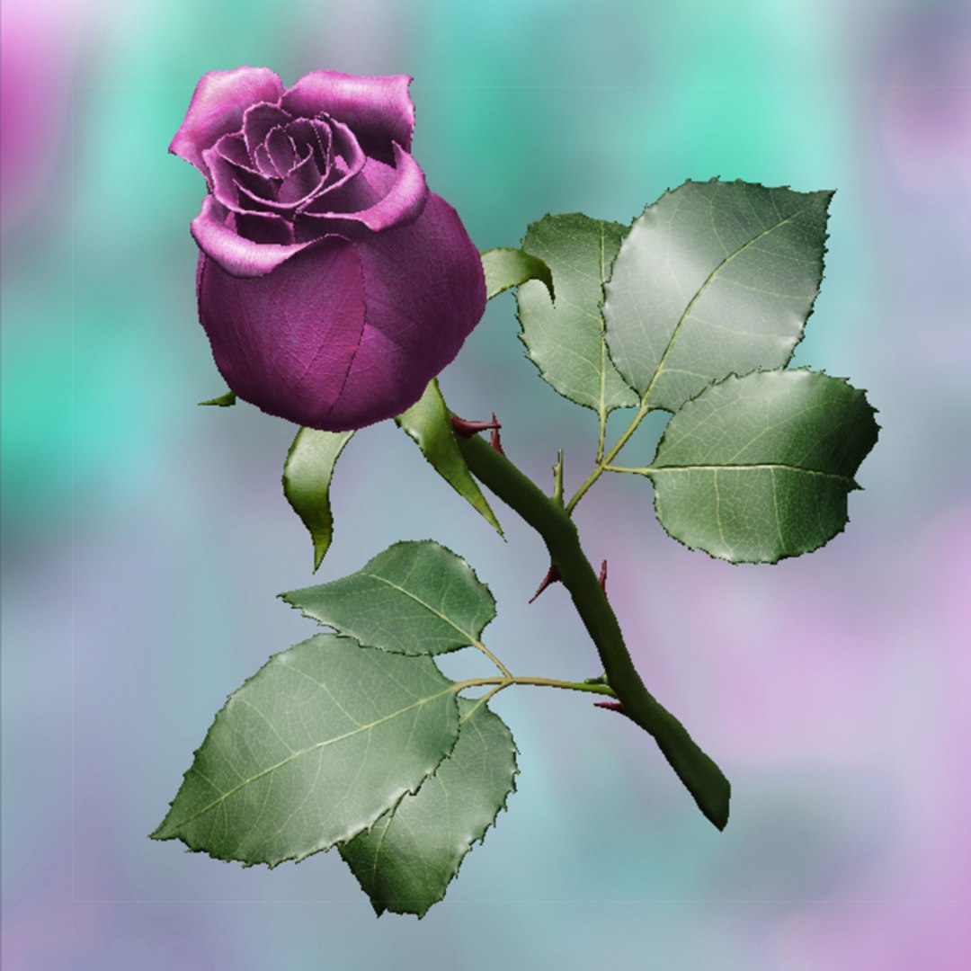 Pink Rose 3d Model