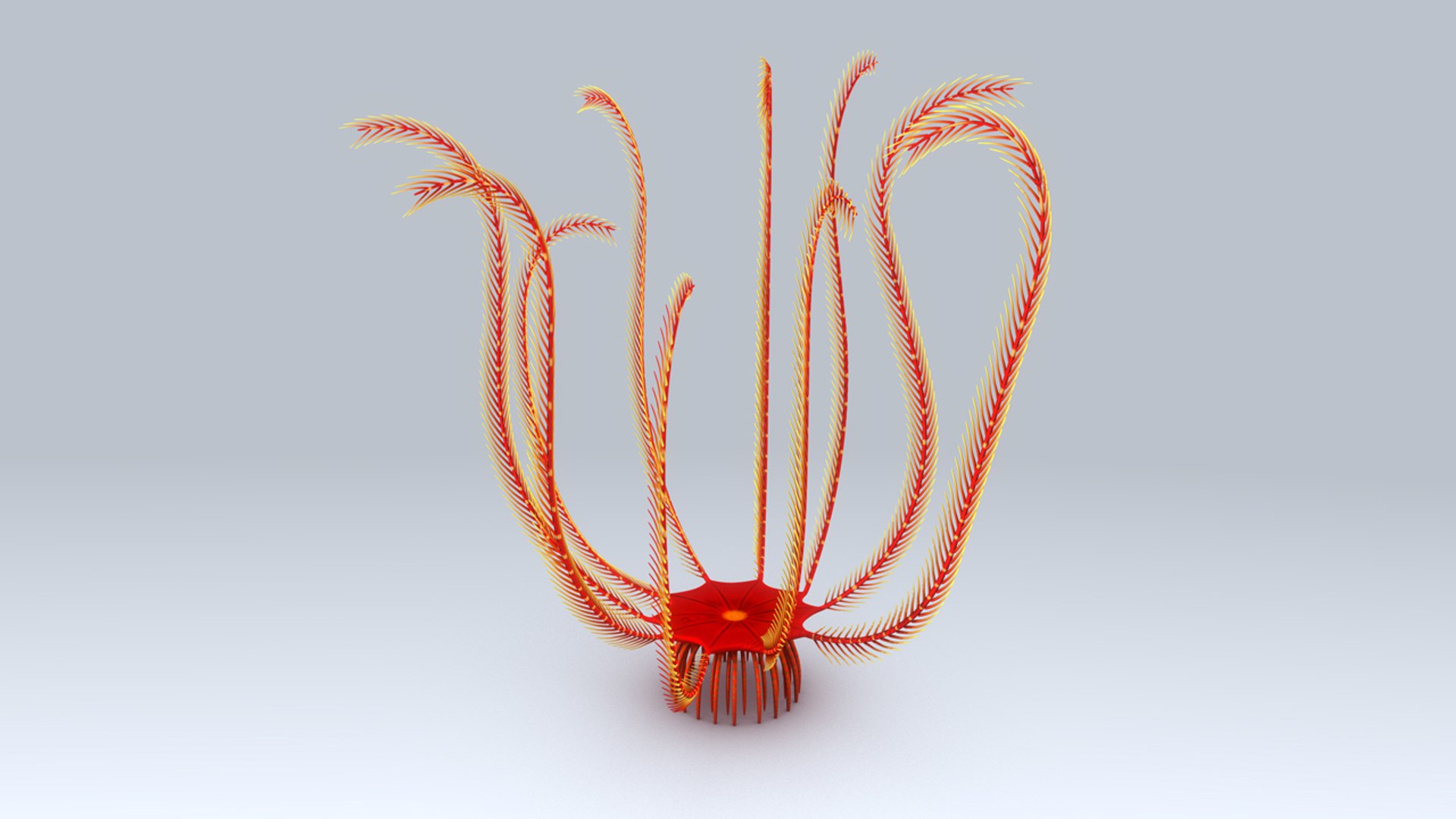 modelo 3d Antedon - TurboSquid 1084624
