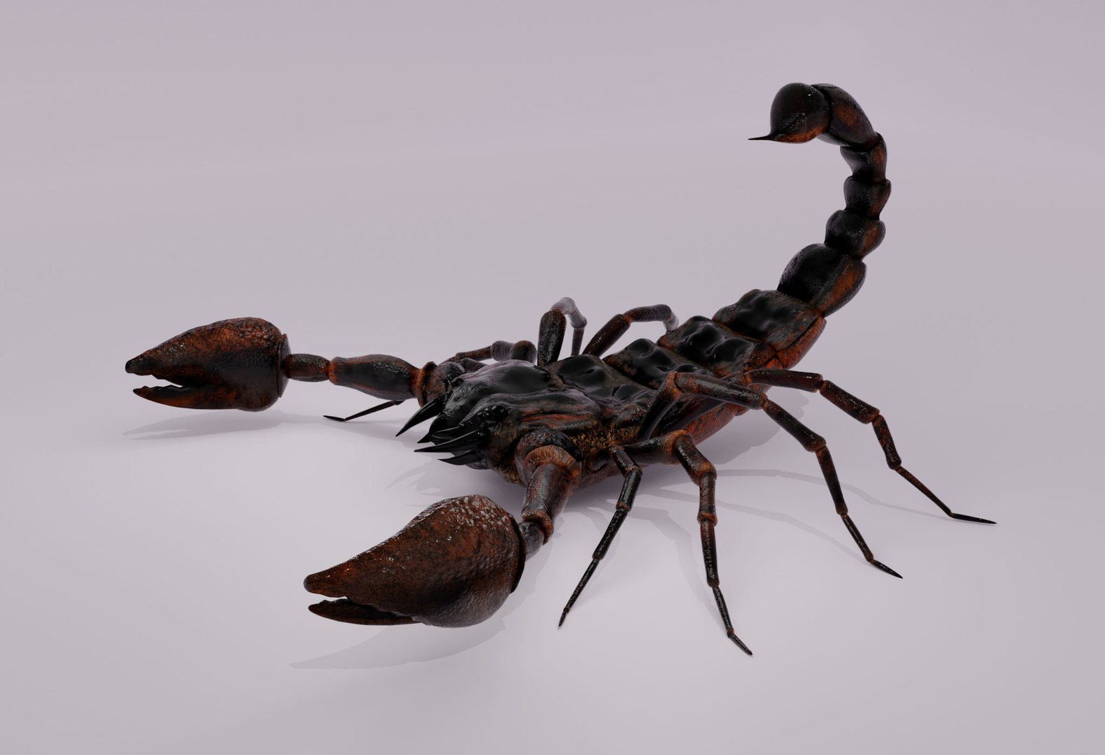 Scorpion Model - TurboSquid 2008448