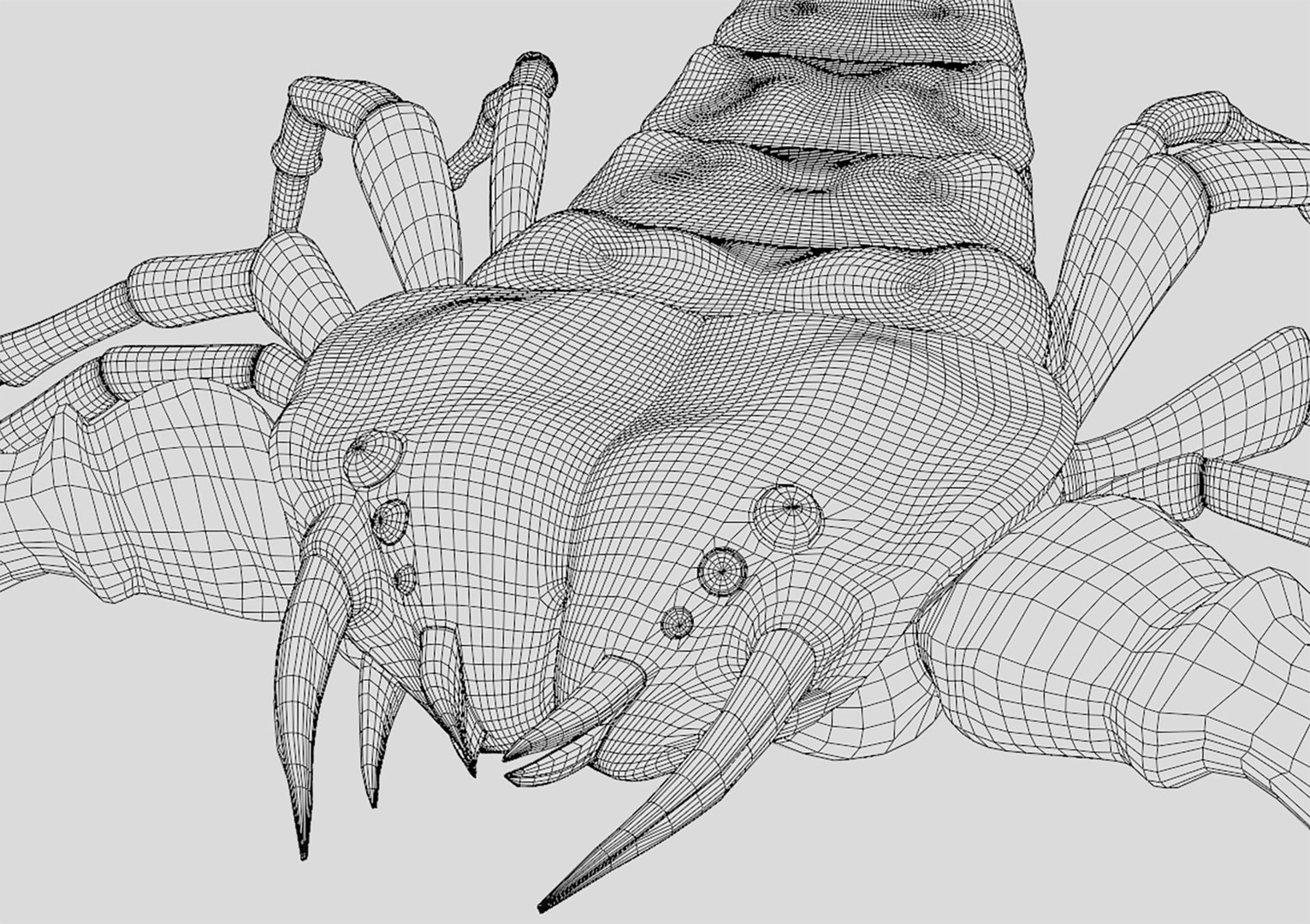 Scorpion Model - TurboSquid 2008448