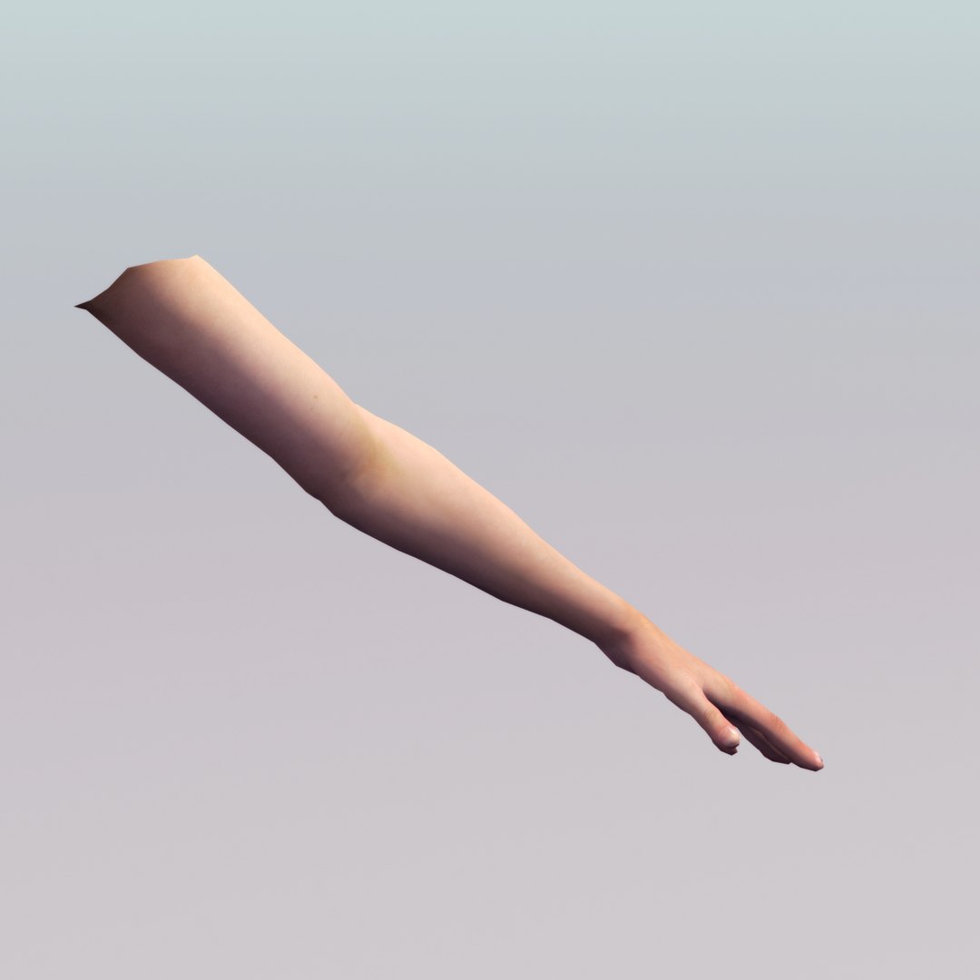 Human Arm 3d Model