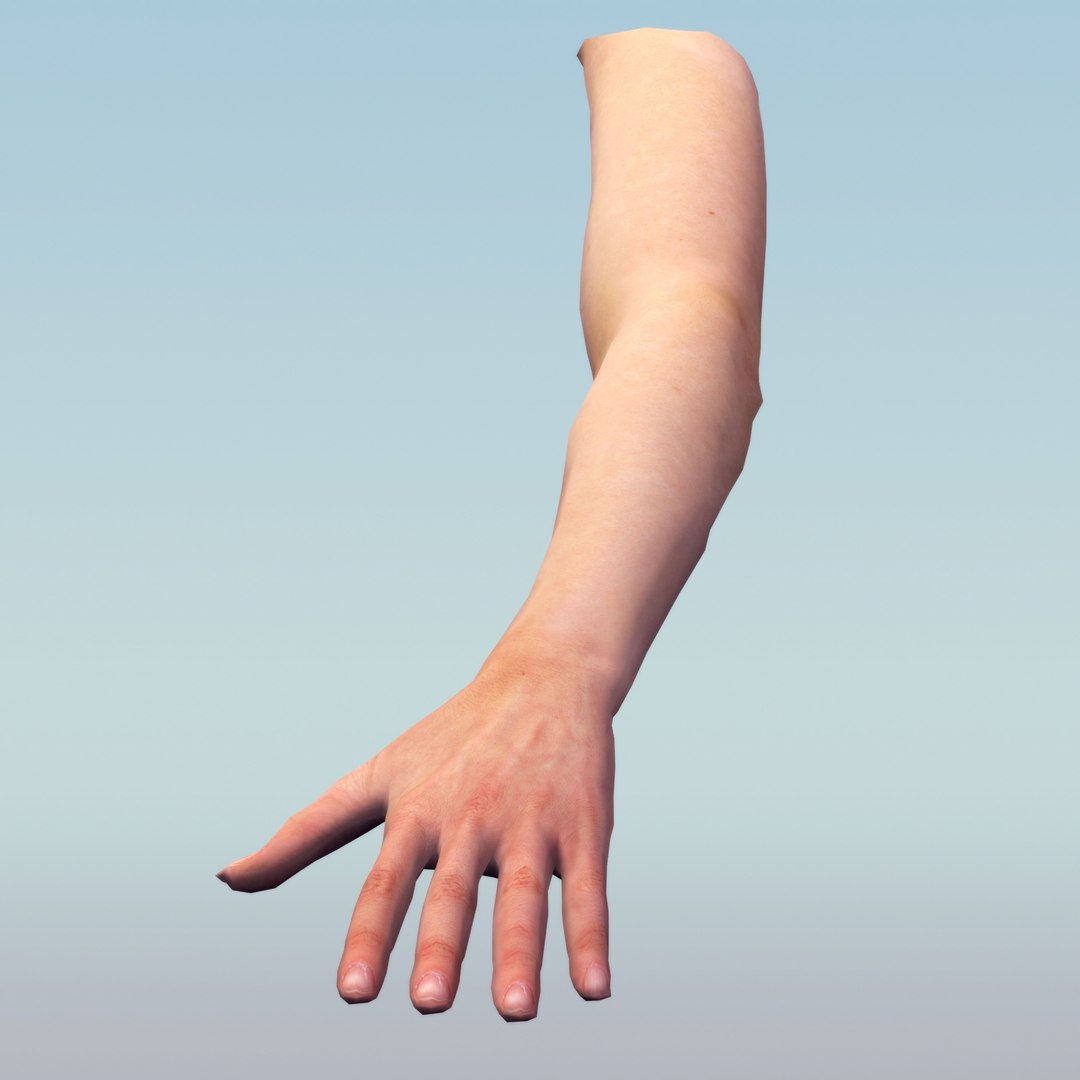 Human Arm 3d Model