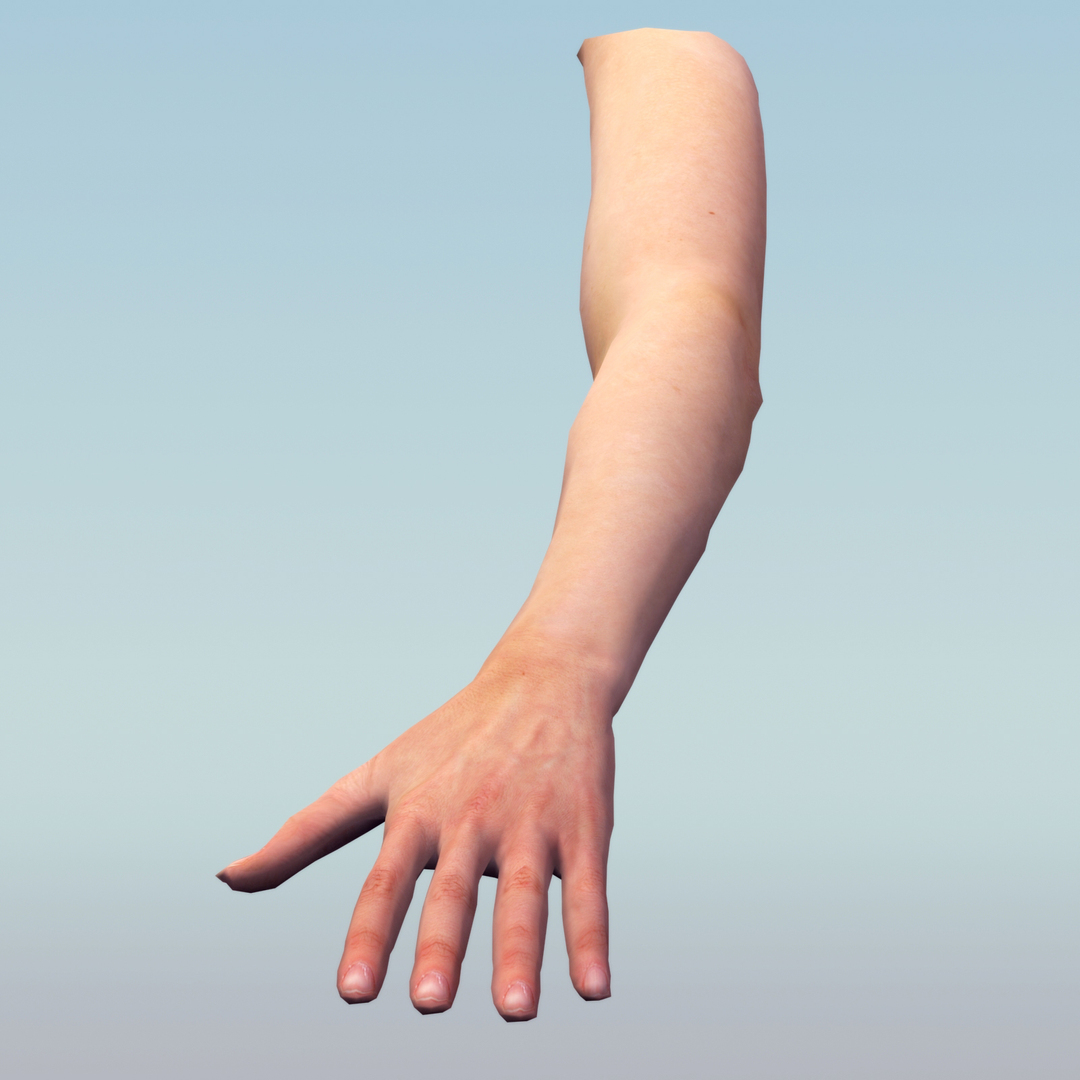 human arm 3d model