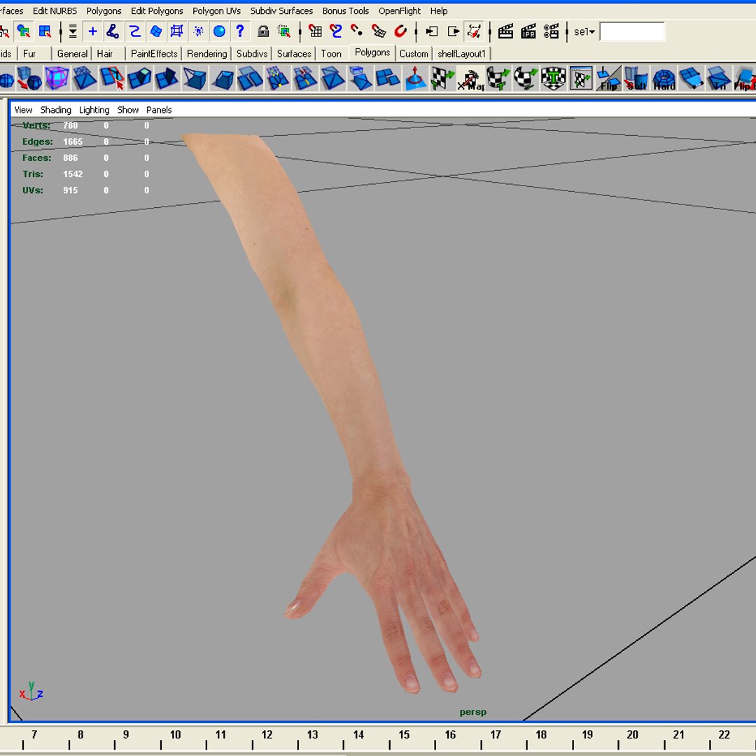 Human Arm 3d Model