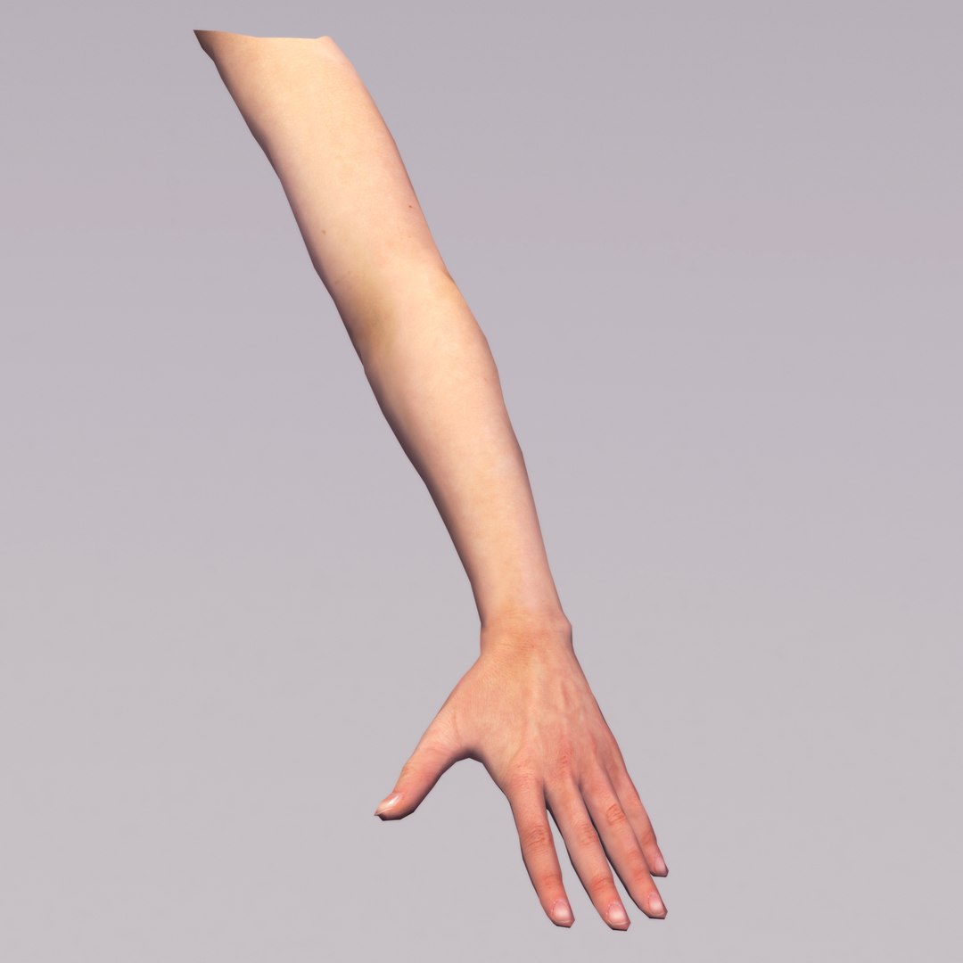 Human Arm 3d Model