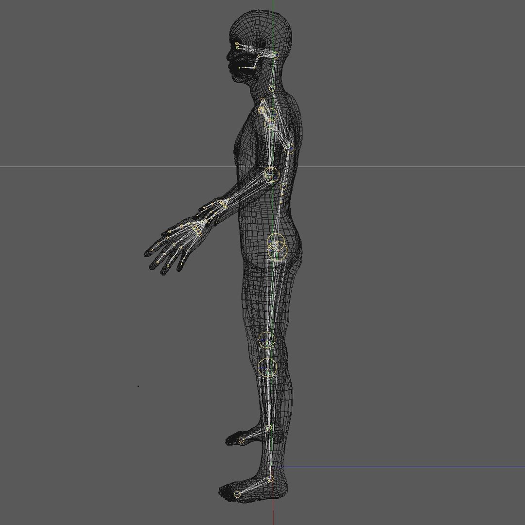 3d model of realistic base mesh rigged