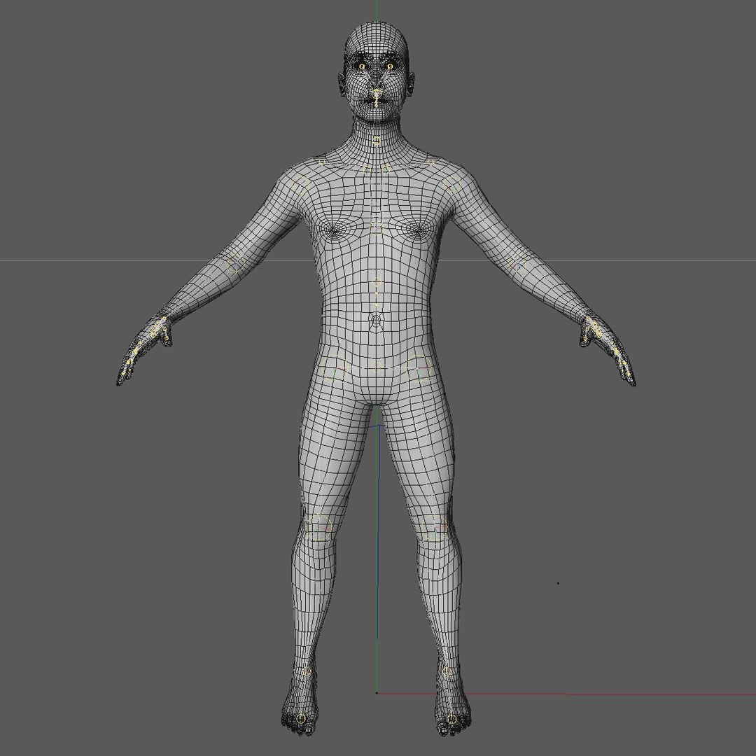 3d model of realistic base mesh rigged