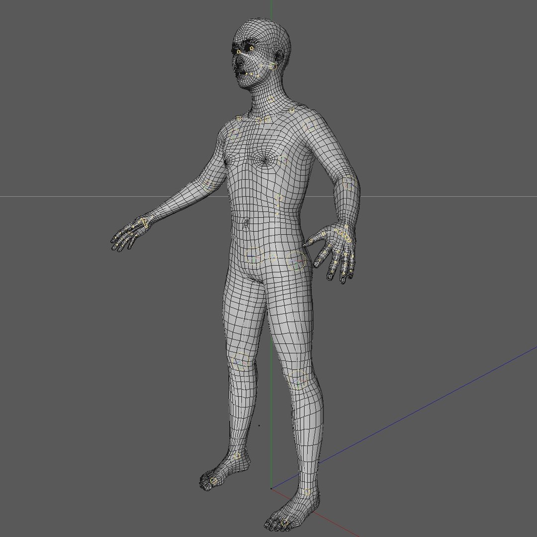3d model of realistic base mesh rigged