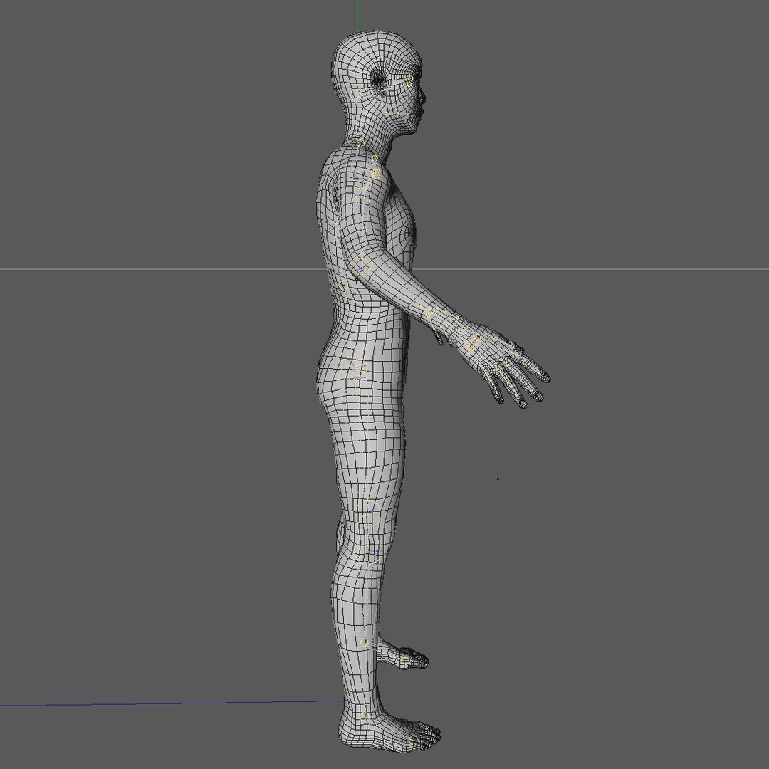 3d model of realistic base mesh rigged