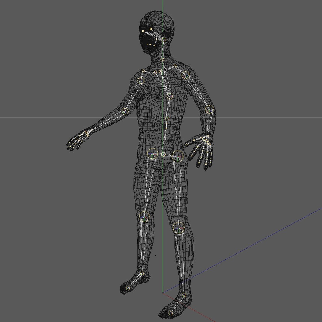3d model of realistic base mesh rigged