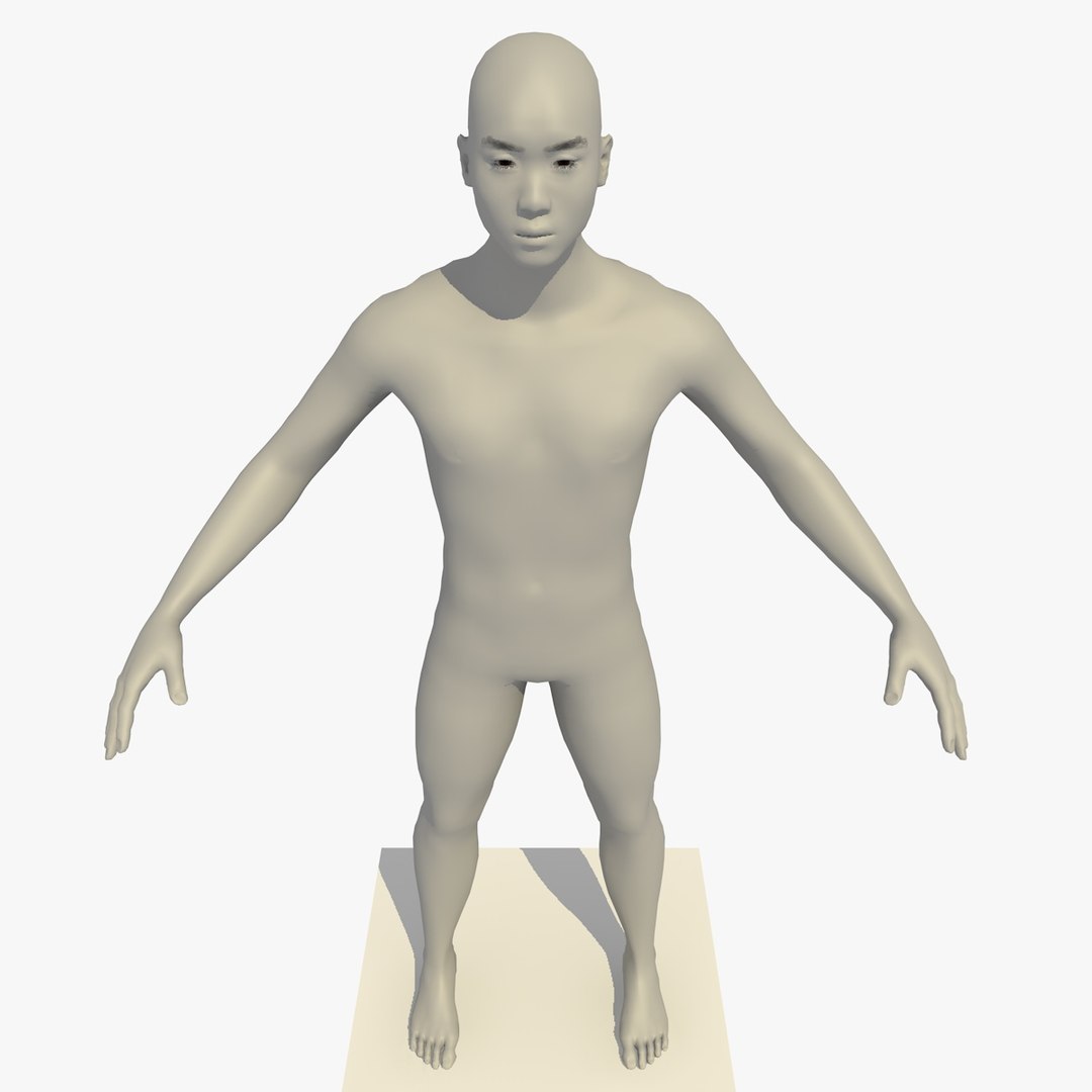 3d model of realistic base mesh rigged