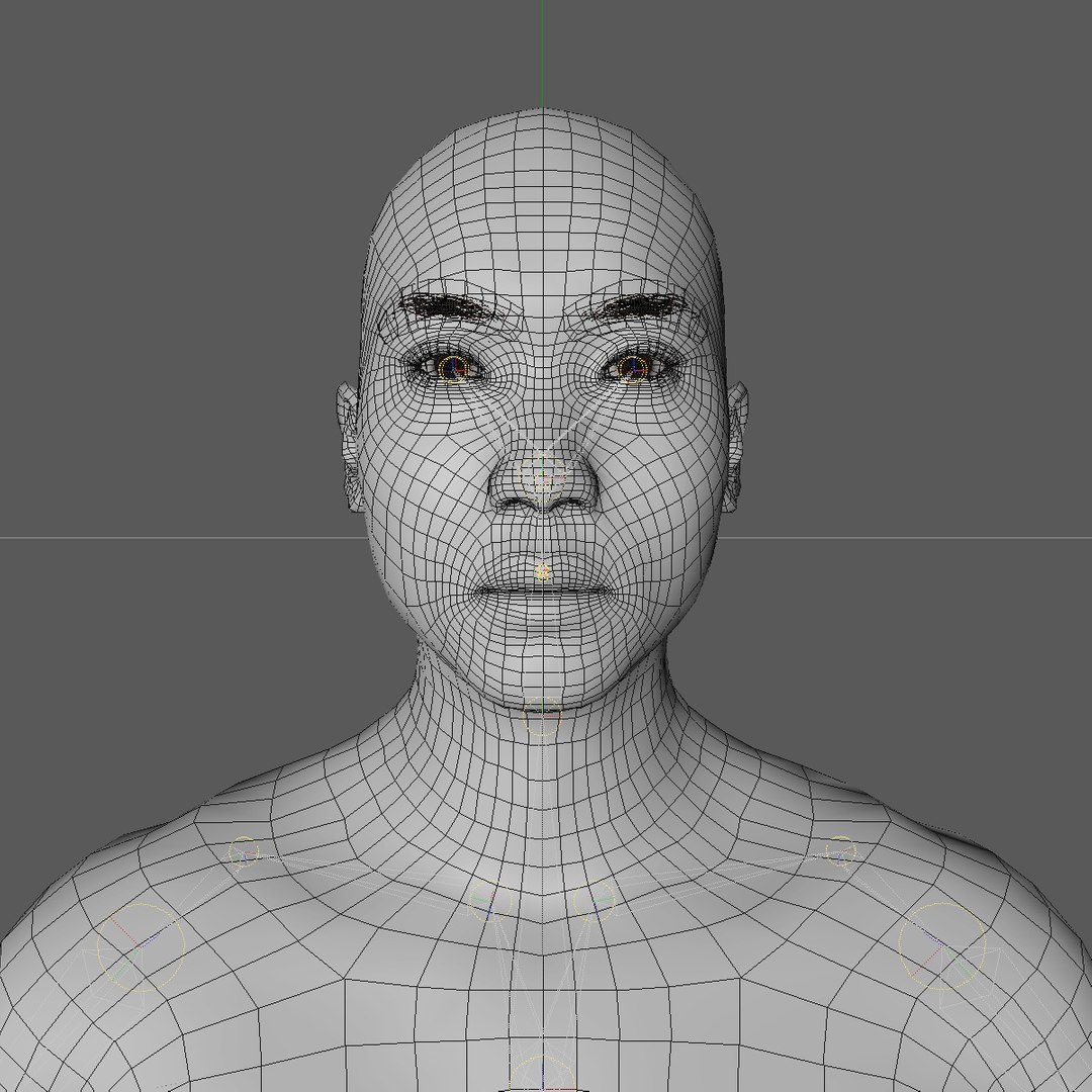 3d model of realistic base mesh rigged
