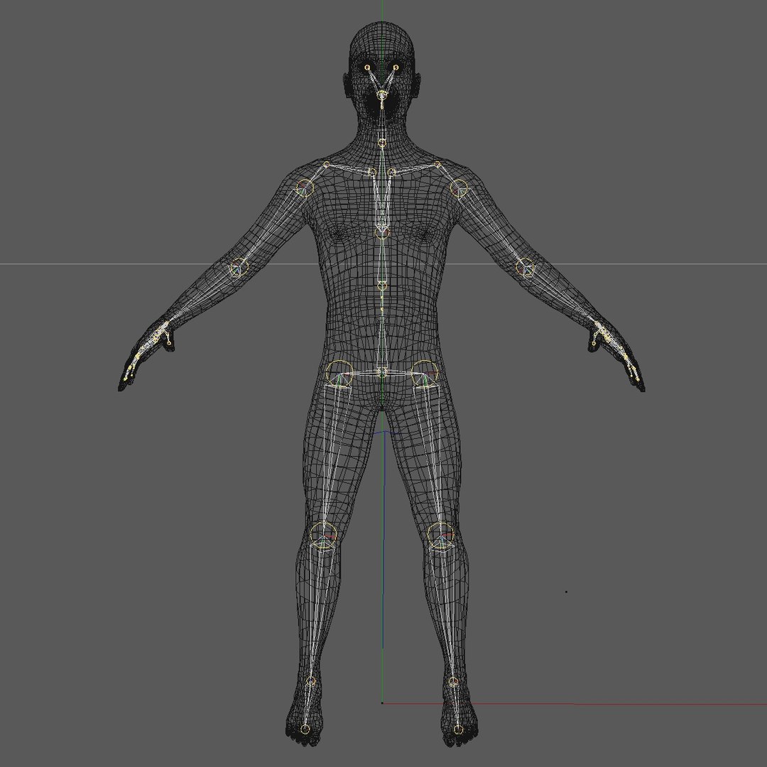 3d model of realistic base mesh rigged