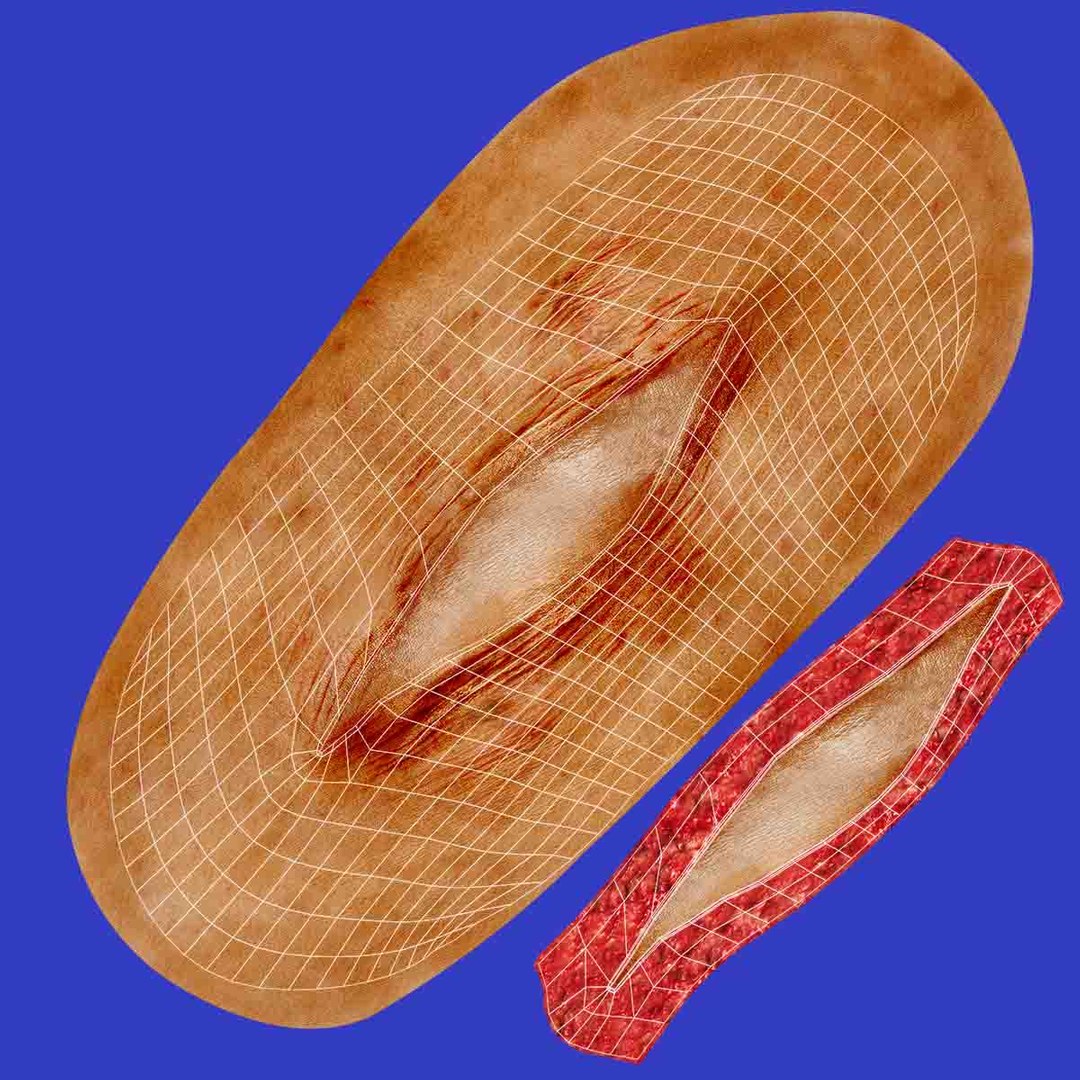 Fake Open Wound 3D - TurboSquid 1792643