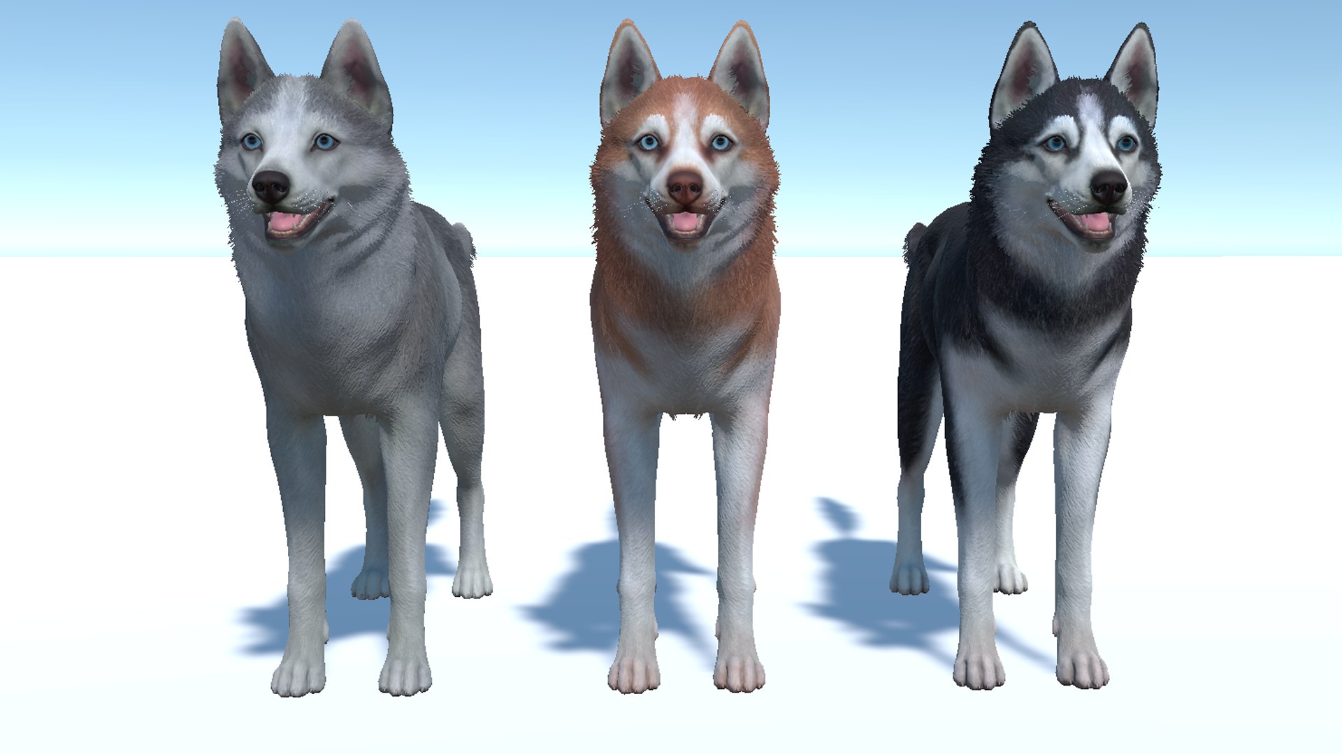 Dog - Husky 3D Model - TurboSquid 1885335