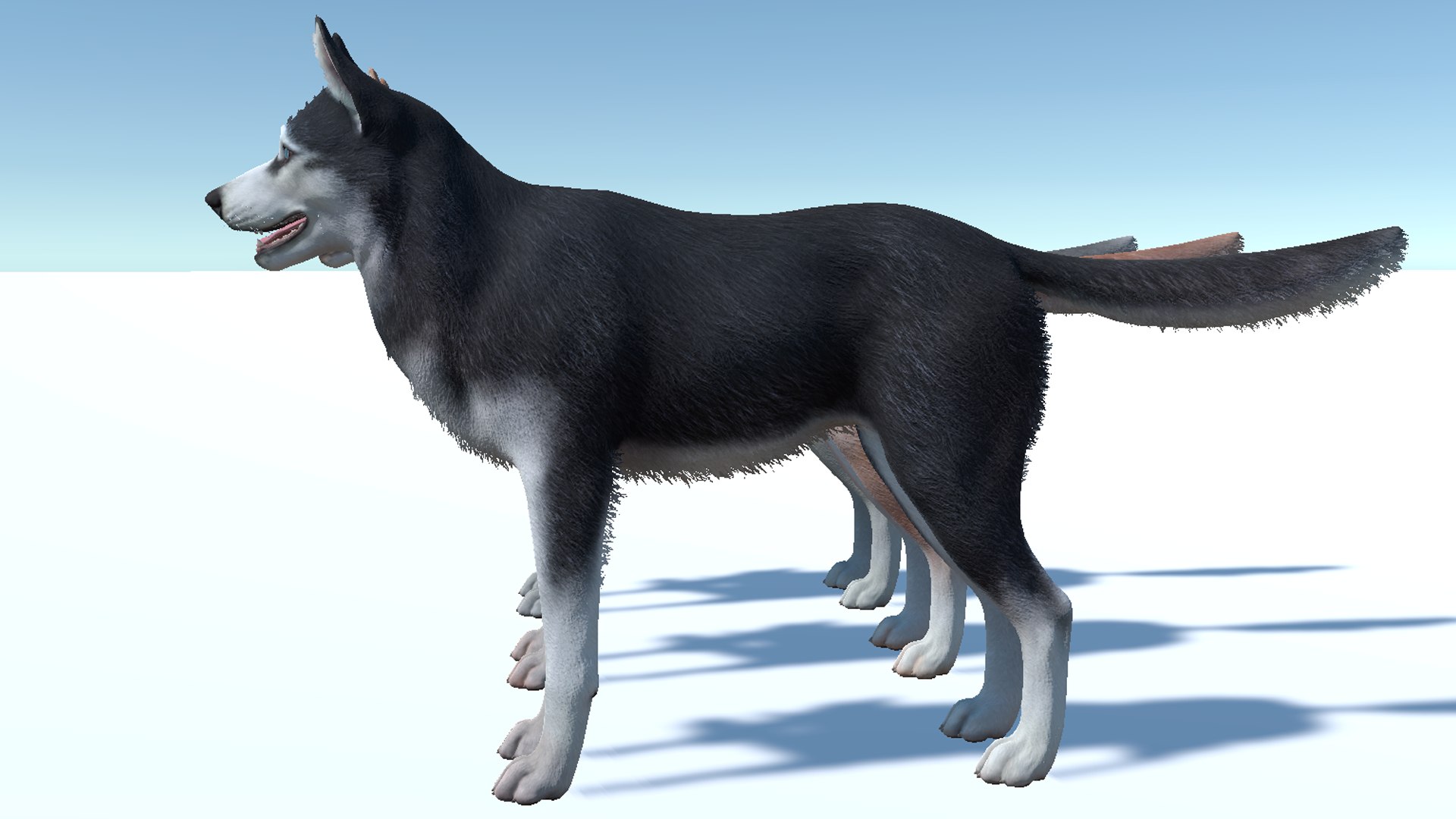 Dog - Husky 3D Model - TurboSquid 1885335