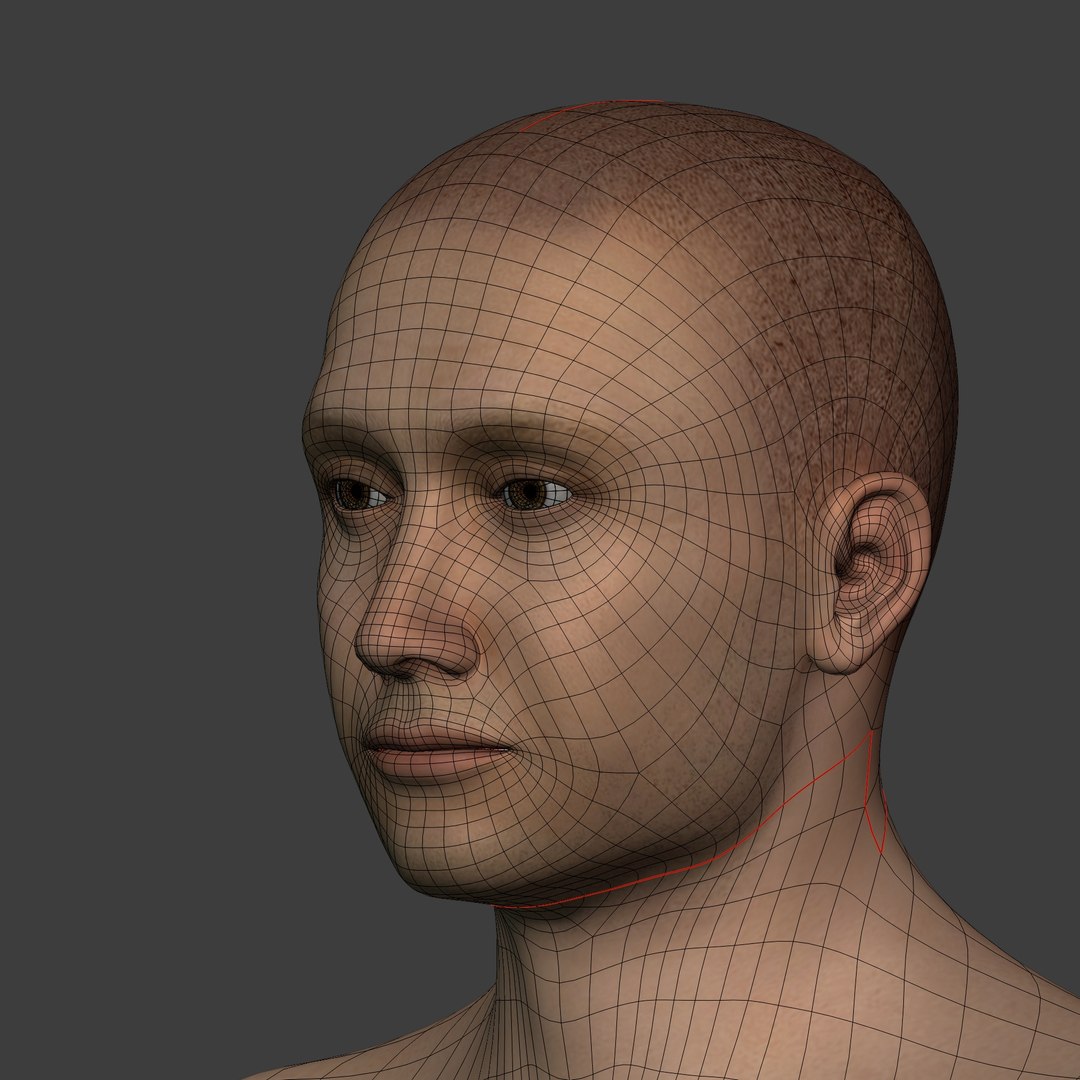Blend 3D Model - TurboSquid 2327388