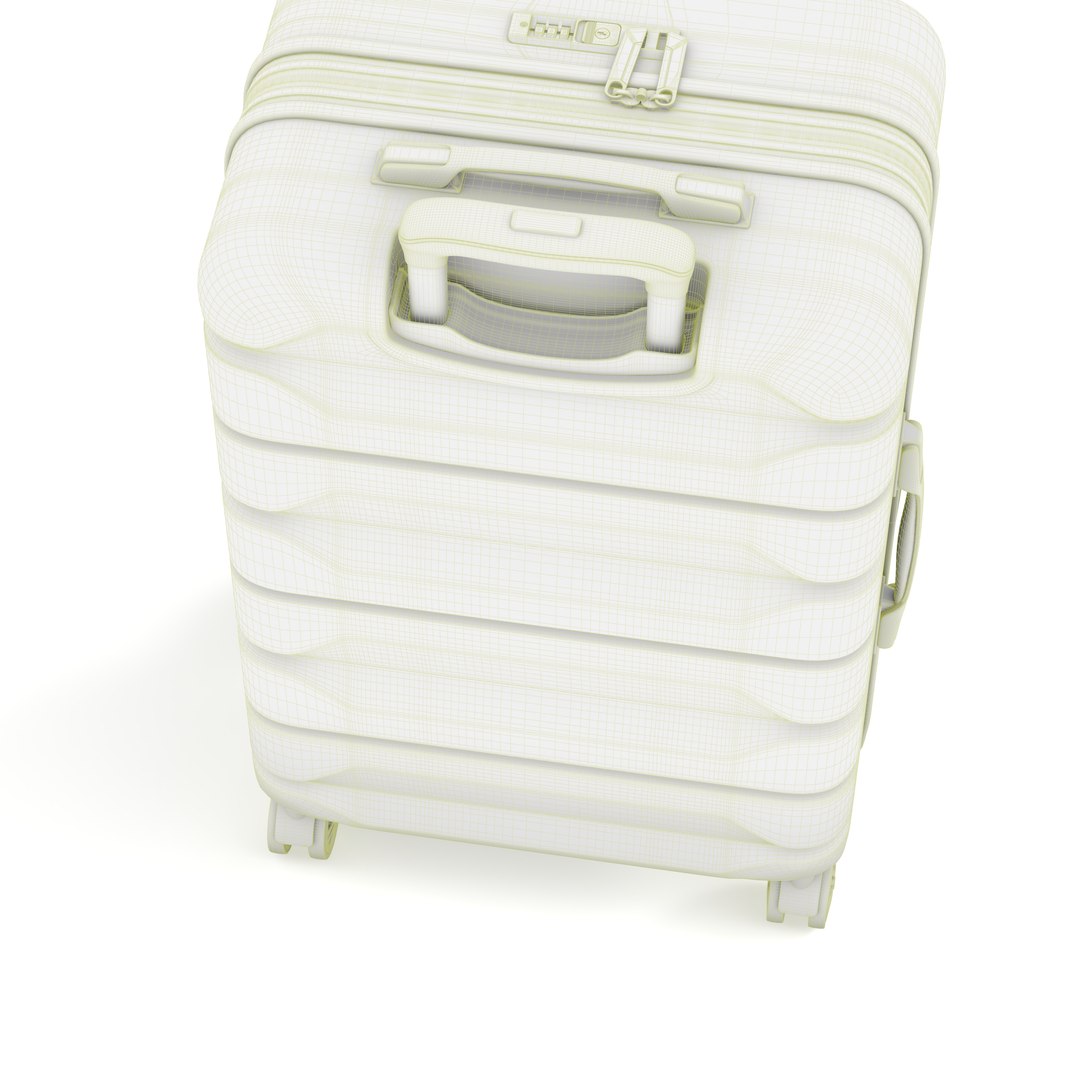 3D Multiwheel Trolley Bag - TurboSquid 2283584