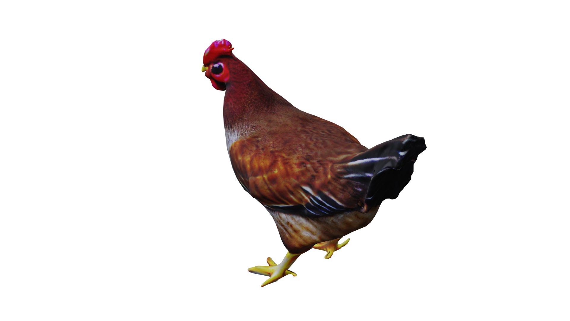 Low-poly Chicken PBR 3D Model - TurboSquid 2206442