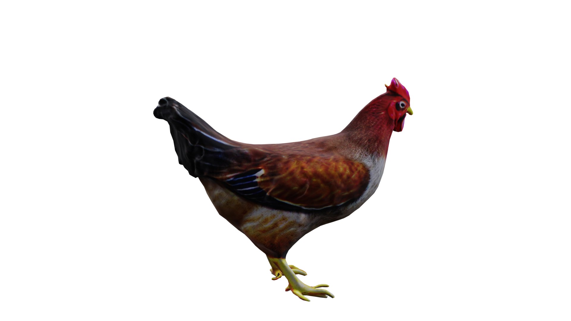 Low-poly Chicken PBR 3D Model - TurboSquid 2206442