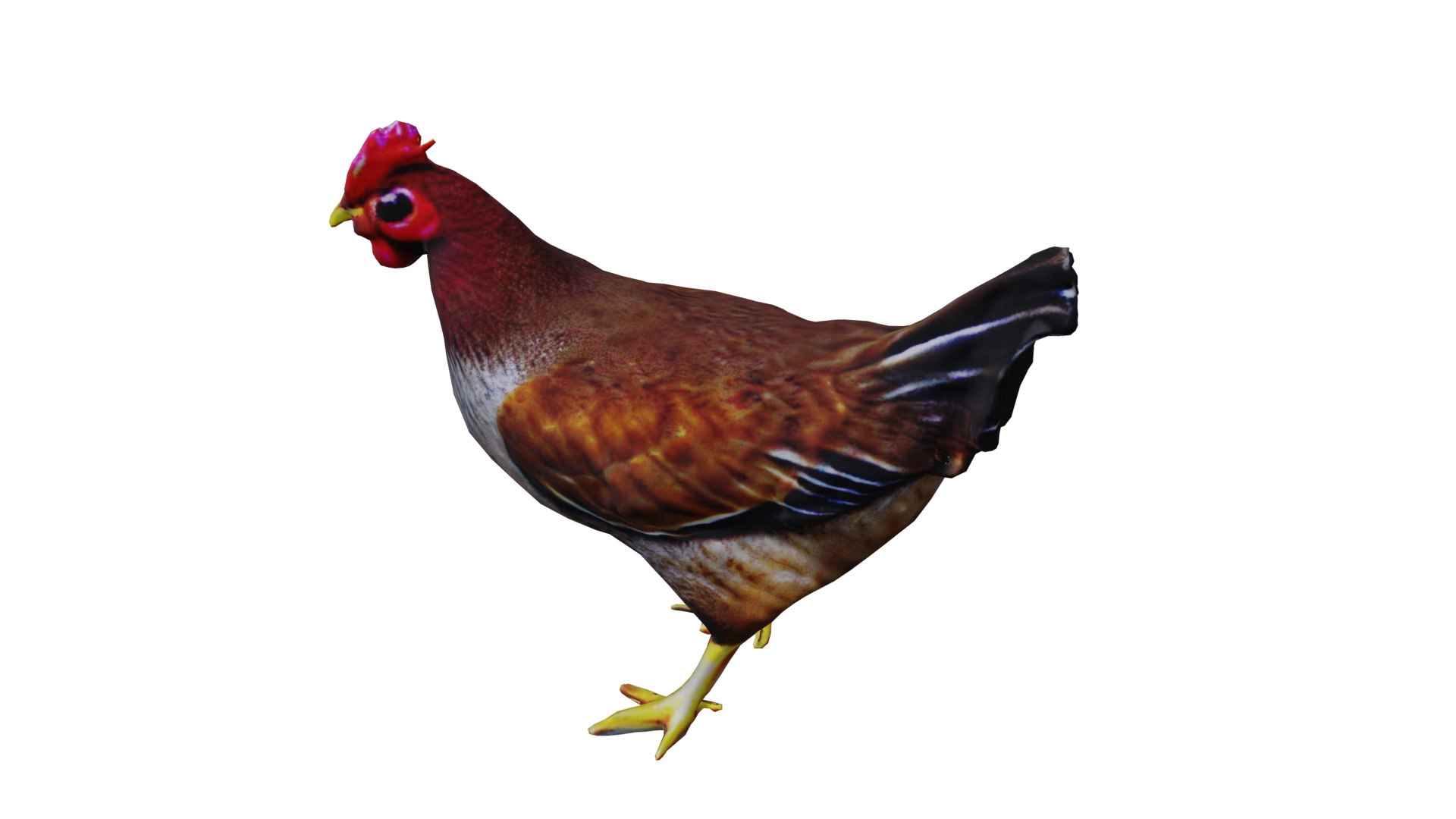 Low-poly Chicken PBR 3D Model - TurboSquid 2206442