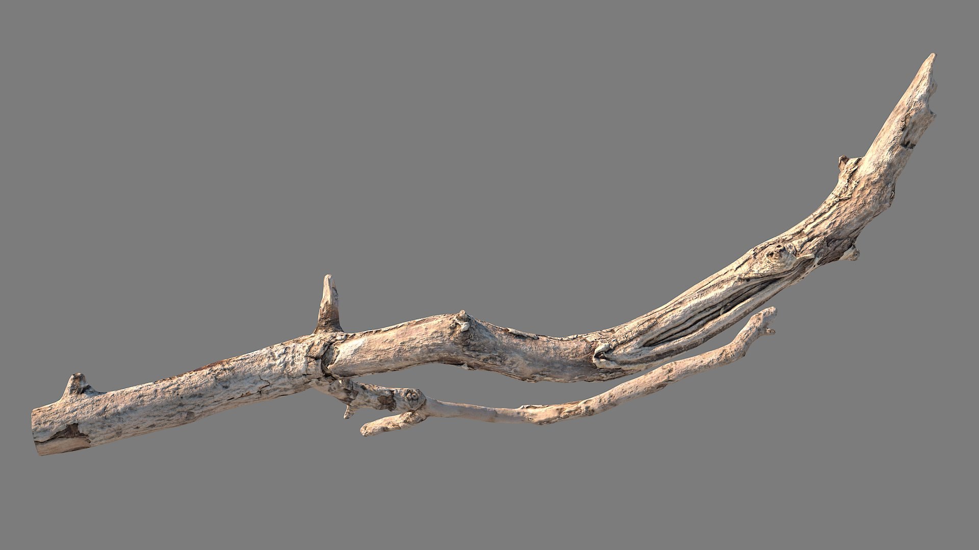 Twig Scanned 24 3D Model - TurboSquid 2088529