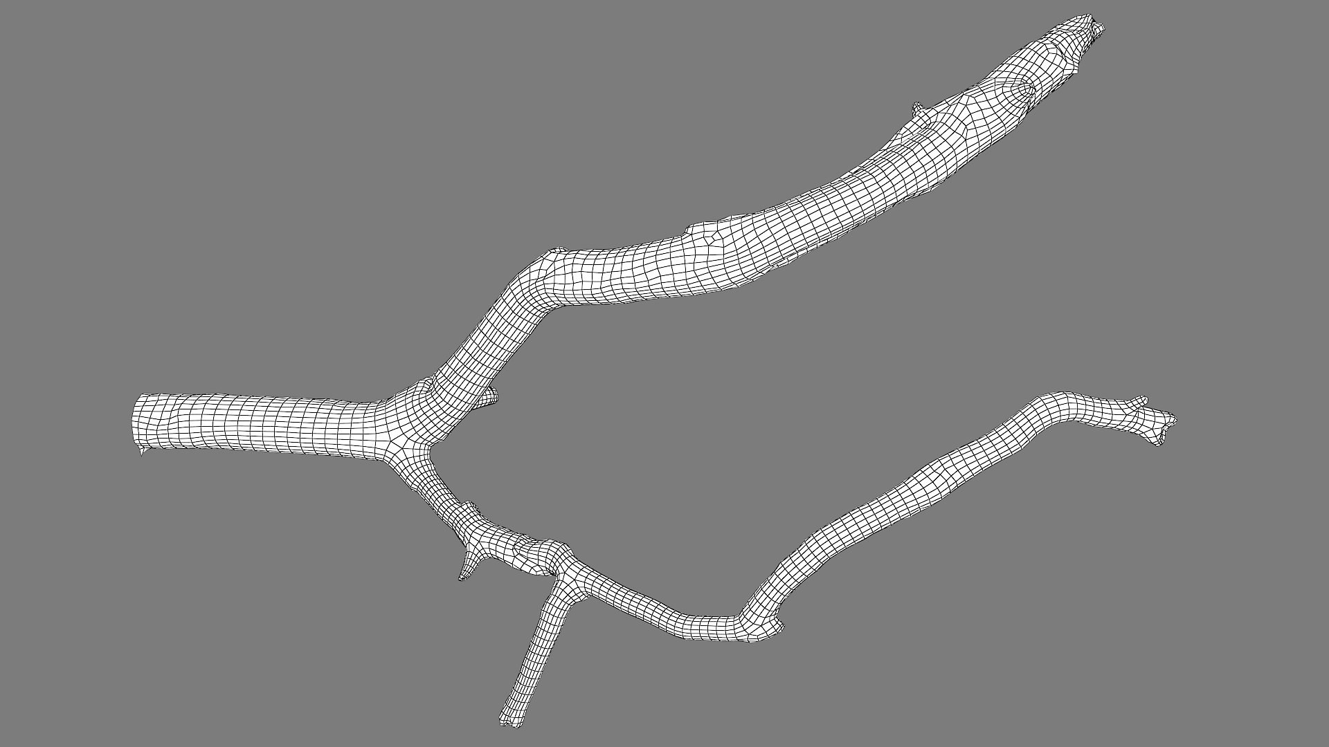 Twig Scanned 24 3D Model - TurboSquid 2088529