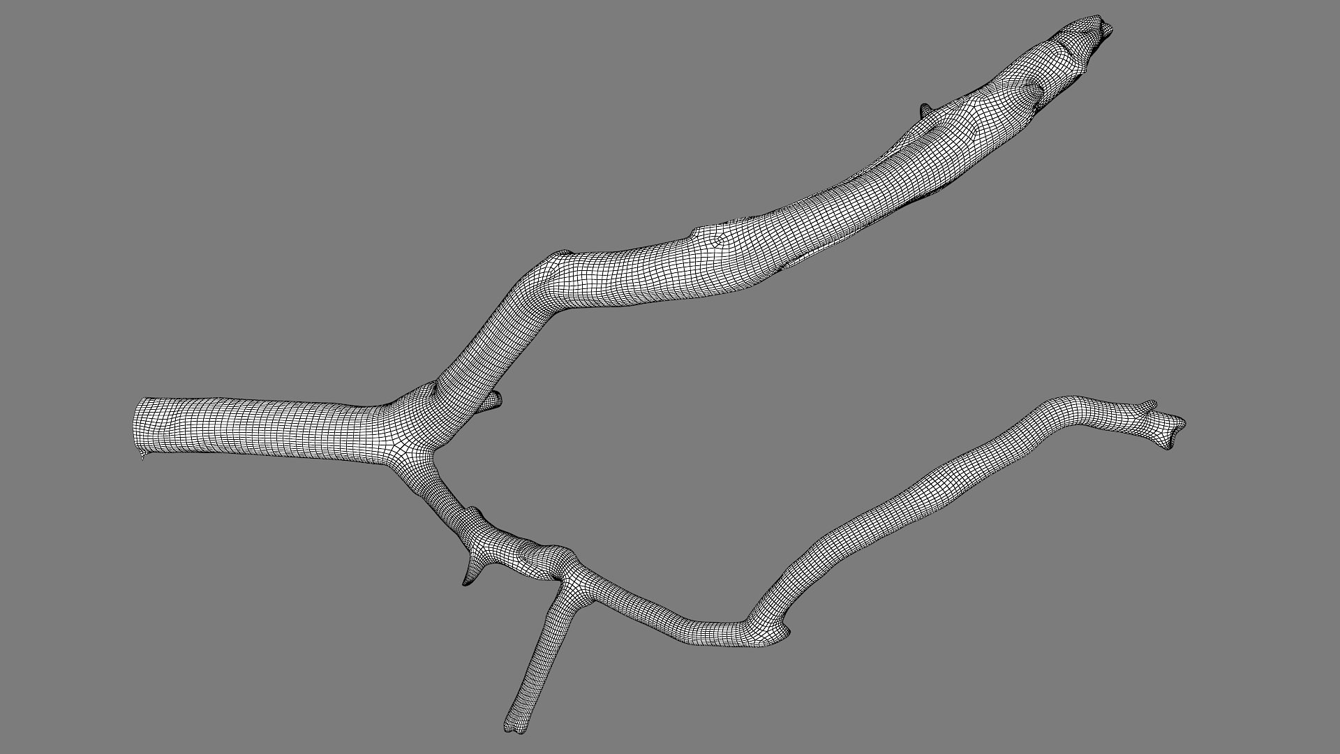 Twig Scanned 24 3D Model - TurboSquid 2088529