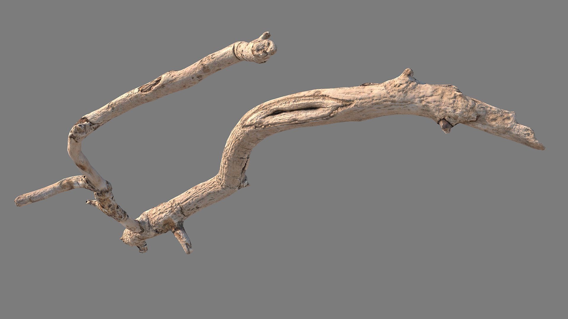 Twig Scanned 24 3D Model - TurboSquid 2088529