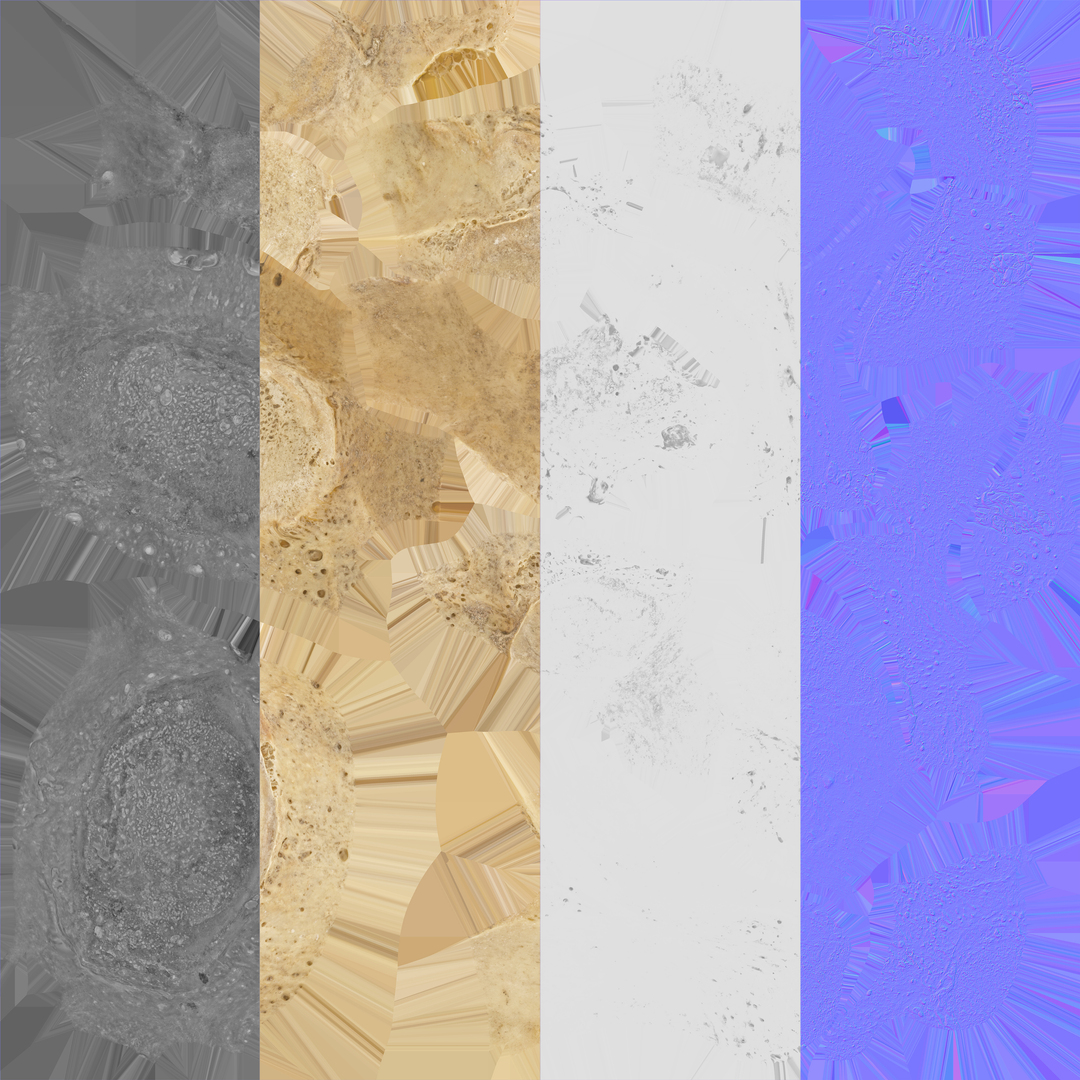 modelo 3d Vértebras cervicales reales C7 rota - TurboSquid 1709339