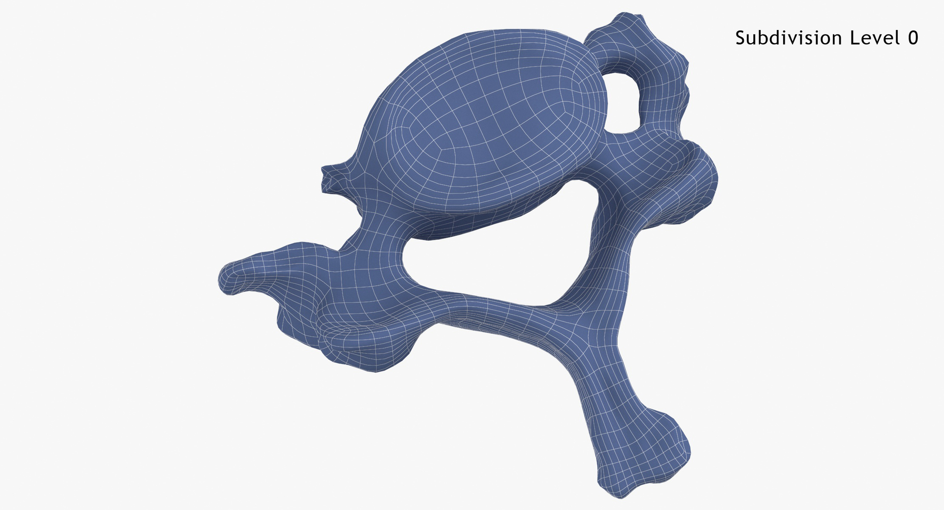 modelo 3d Vértebras cervicales reales C7 rota - TurboSquid 1709339