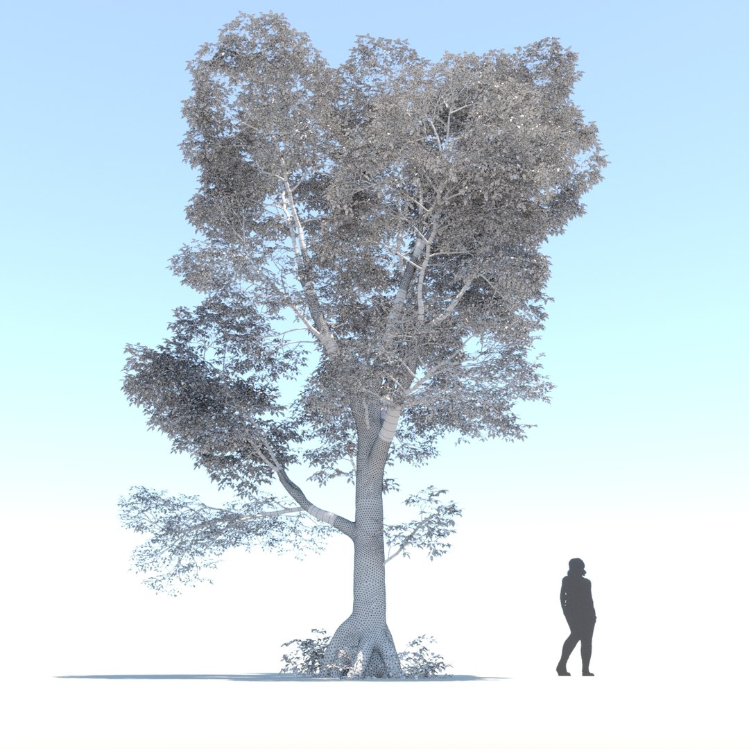 3D tree visualization nature - TurboSquid 1189931