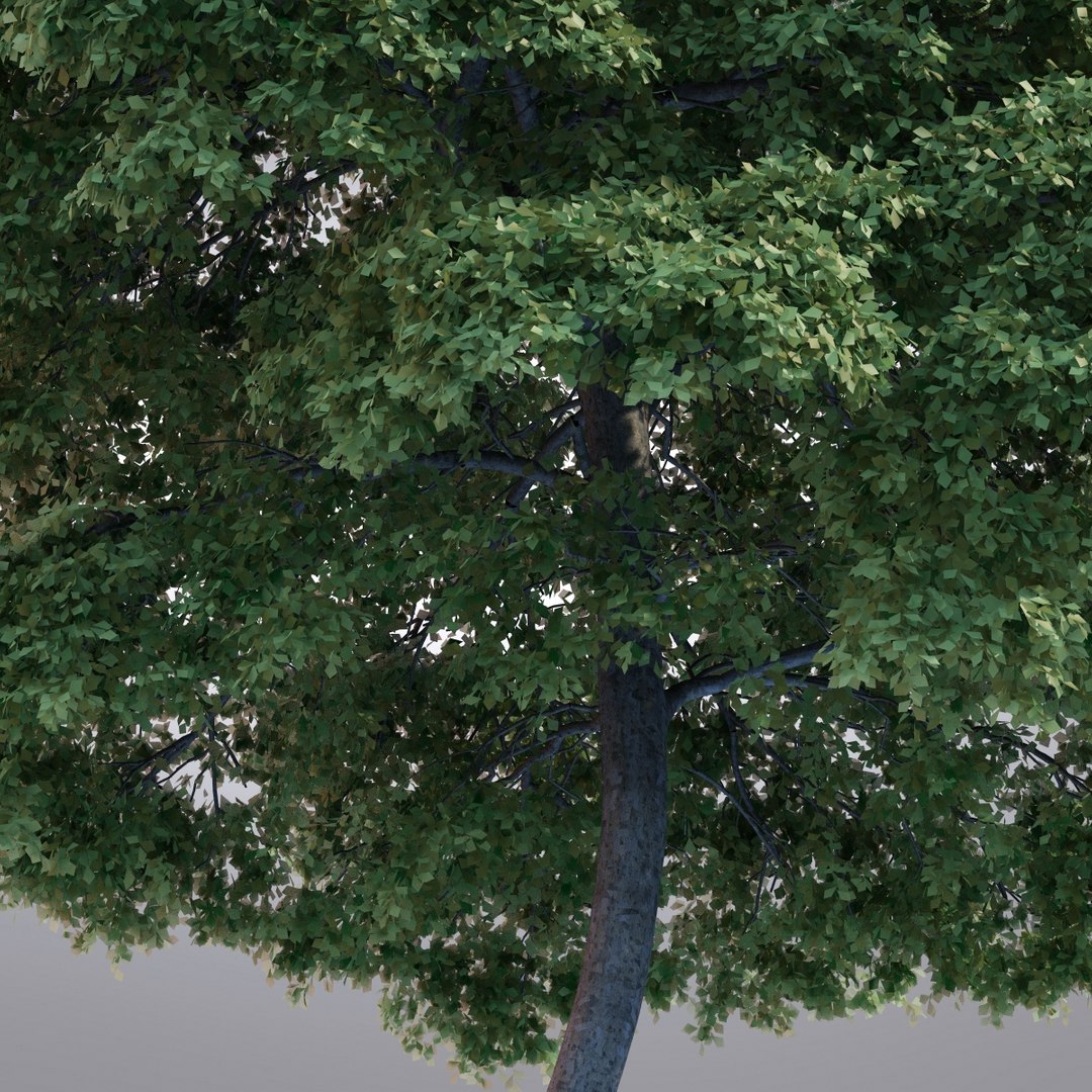 3d Hi Realistic Series Tree Model