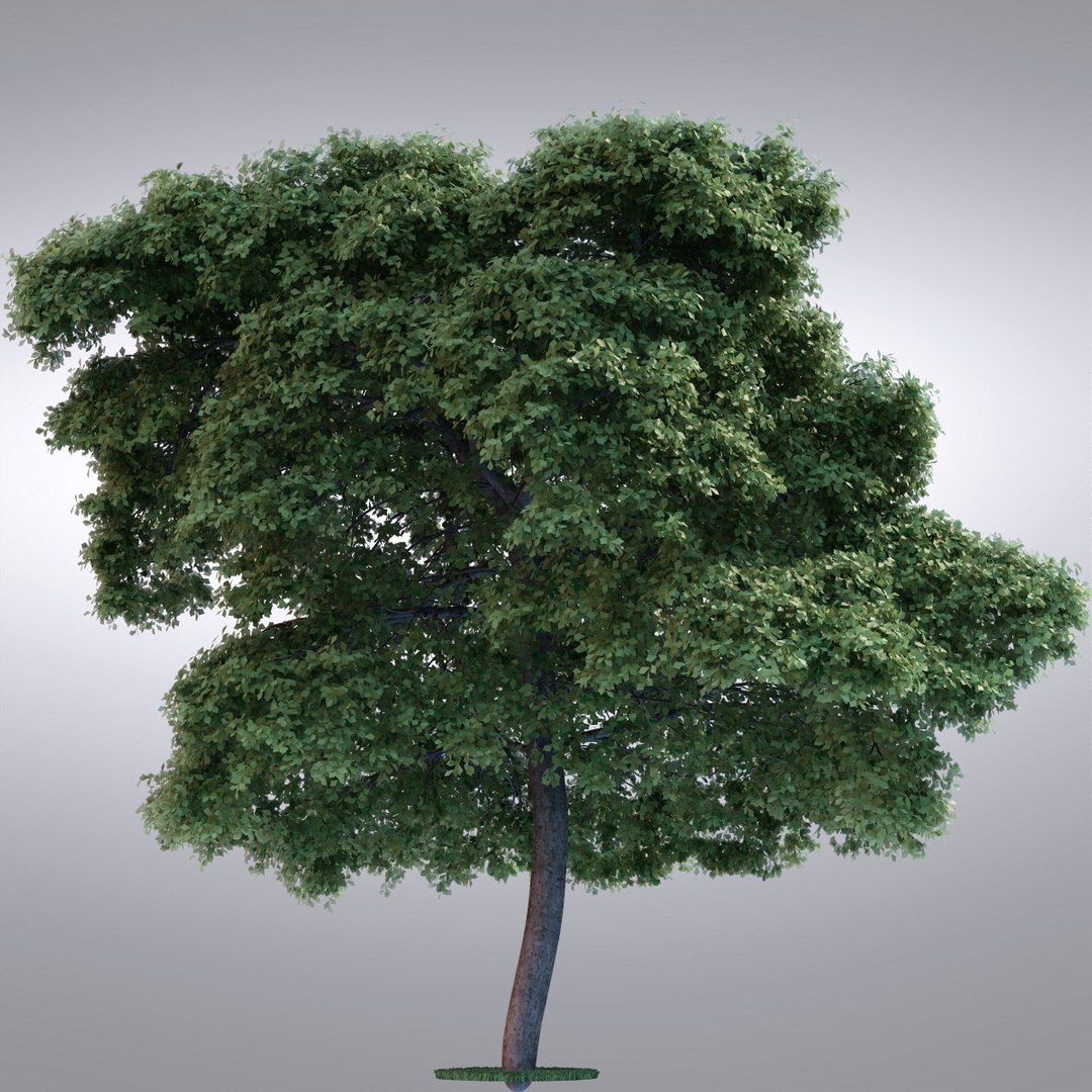 3d Hi Realistic Series Tree Model