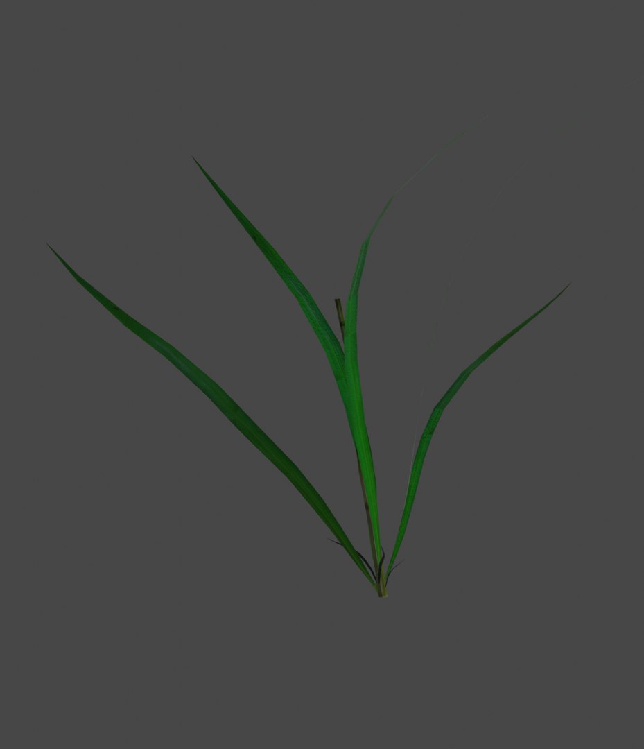 3D Summer Grass - TurboSquid 2142523