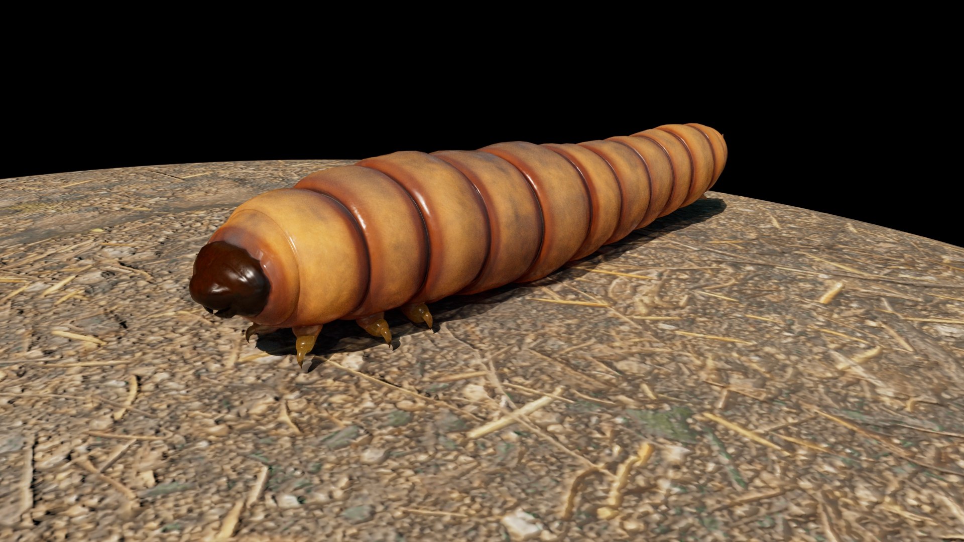Tenebrio 3D Model - TurboSquid 1986771