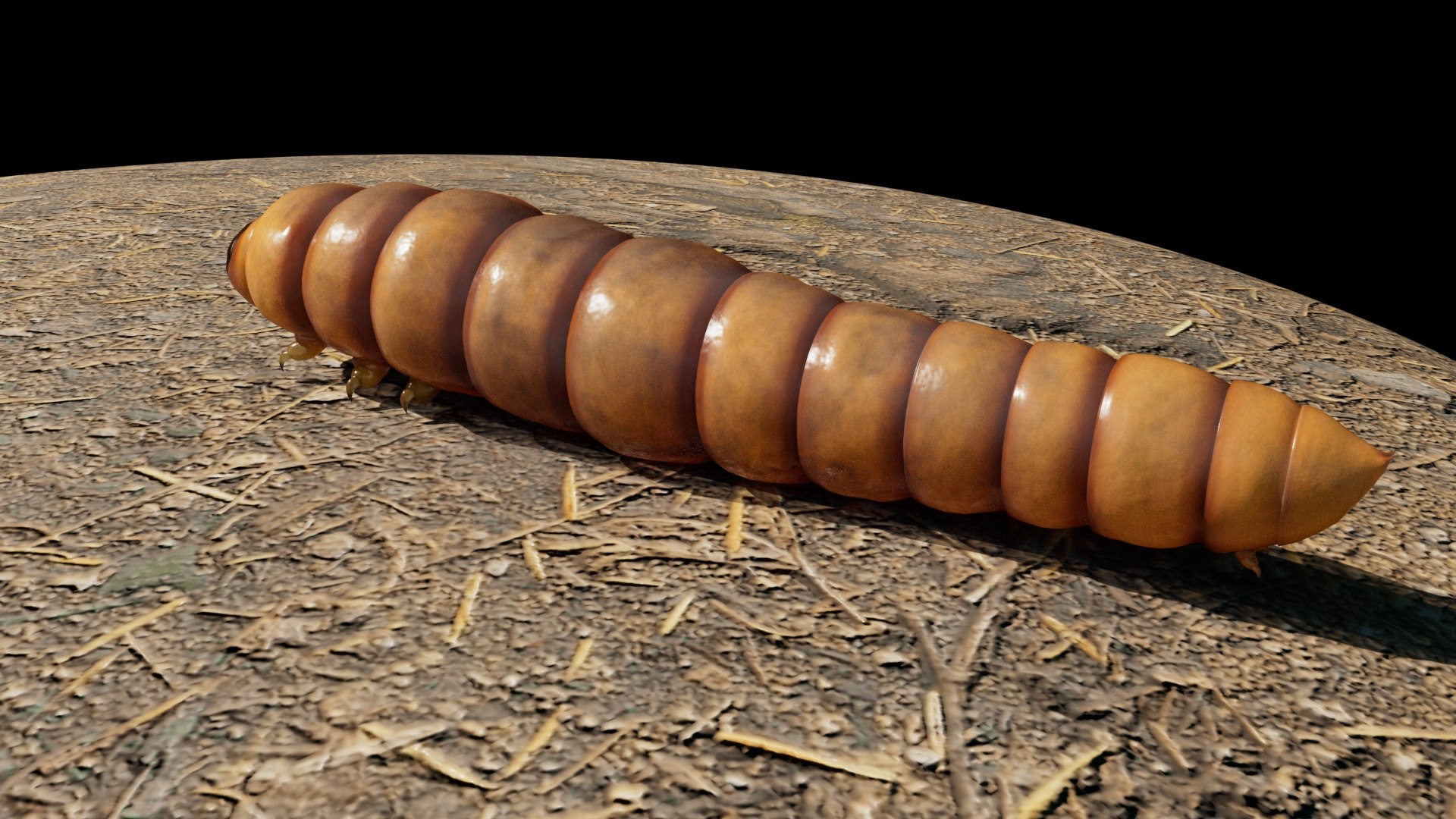 Tenebrio 3D Model - TurboSquid 1986771